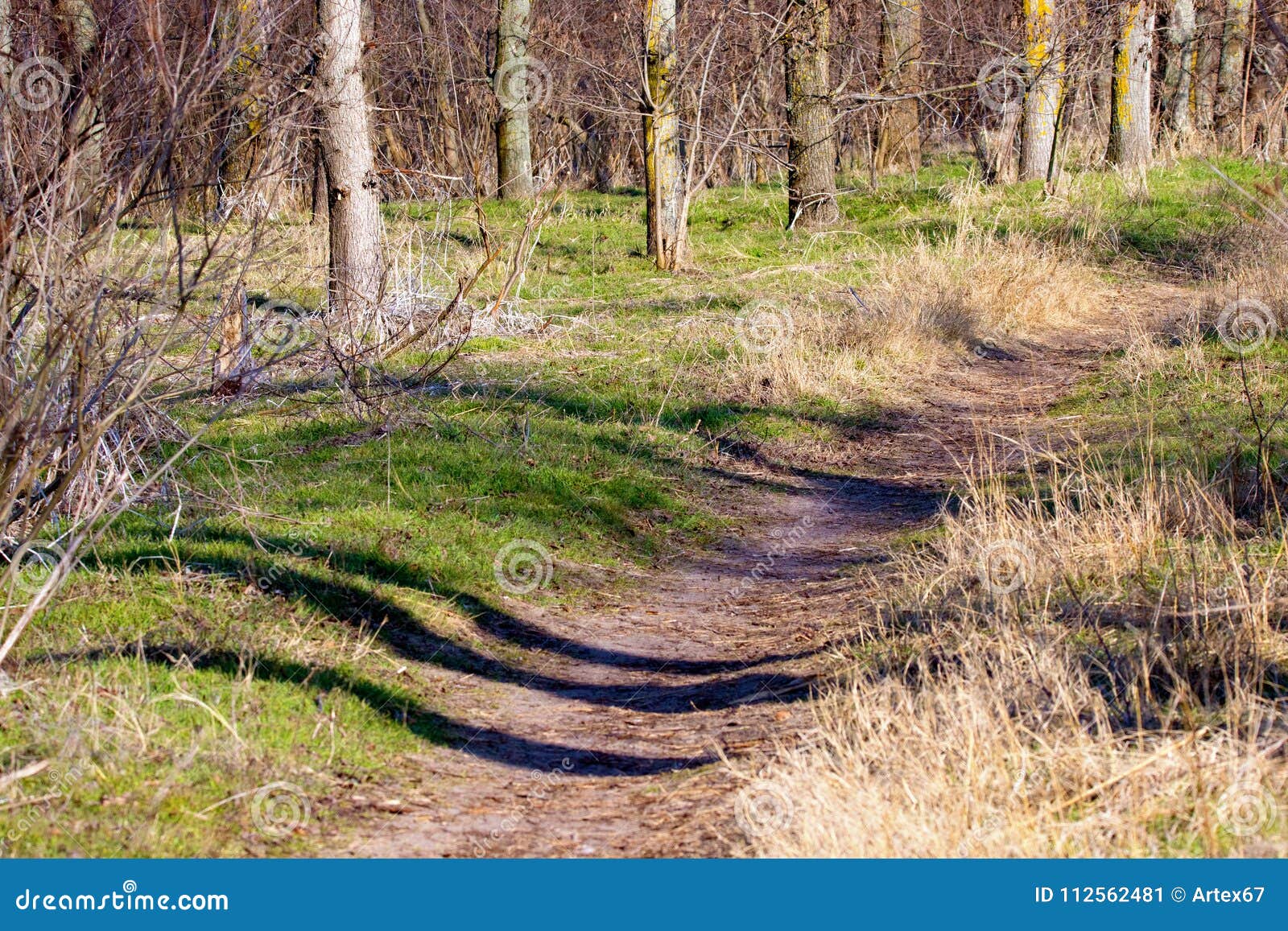 Overgrown Path in an Abandoned Park Stock Image - Image of overgrown ...