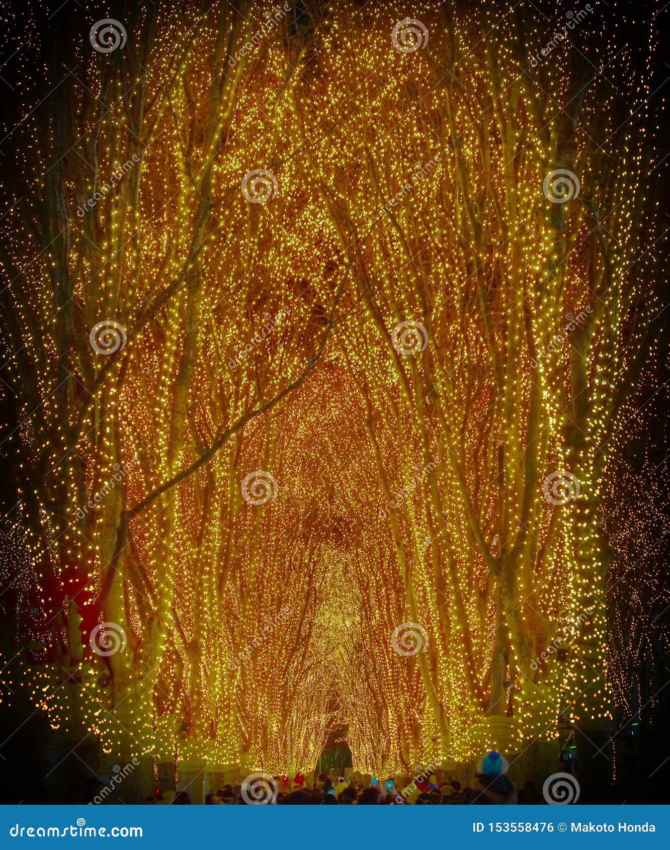 Image of the Pageant in Sendai Light Stock Photo - Image of ...