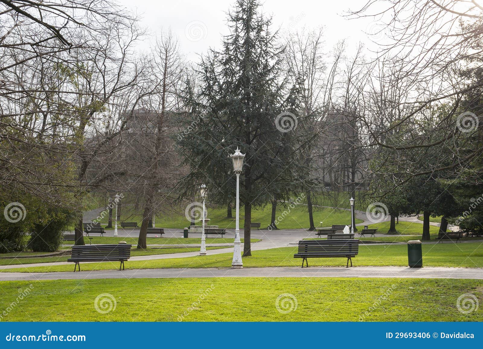 Image of a Park with Benches, Grass and Trees Stock Photo - Image of ...
