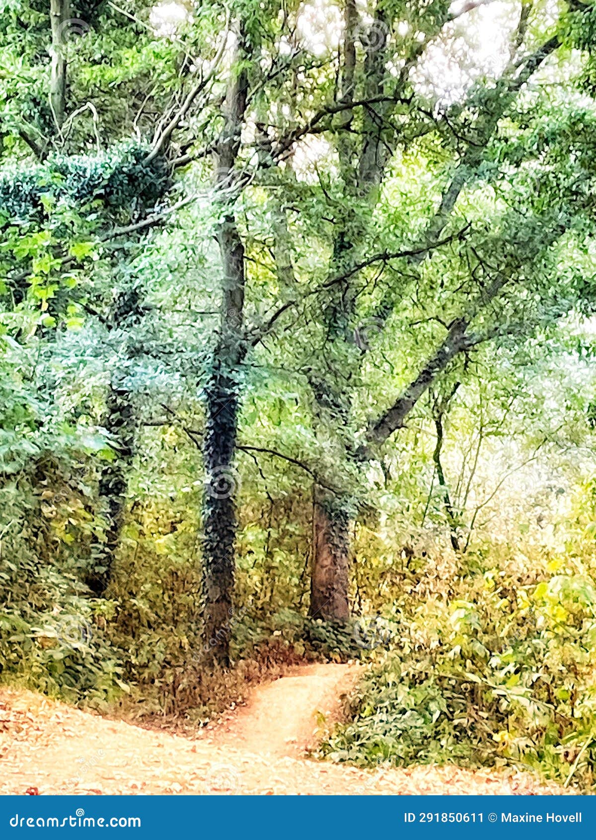 Forest path in summer stock image. Image of grove, clouds - 291850611