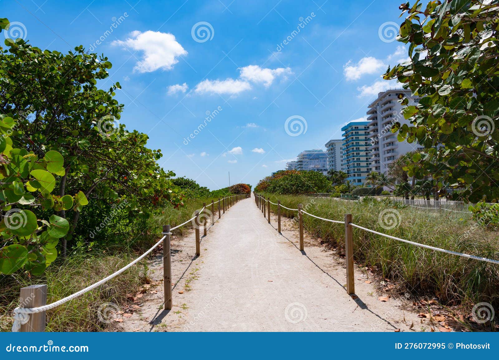Image of Pathway with Destination Concept. Summer Pathway. Empty Road ...