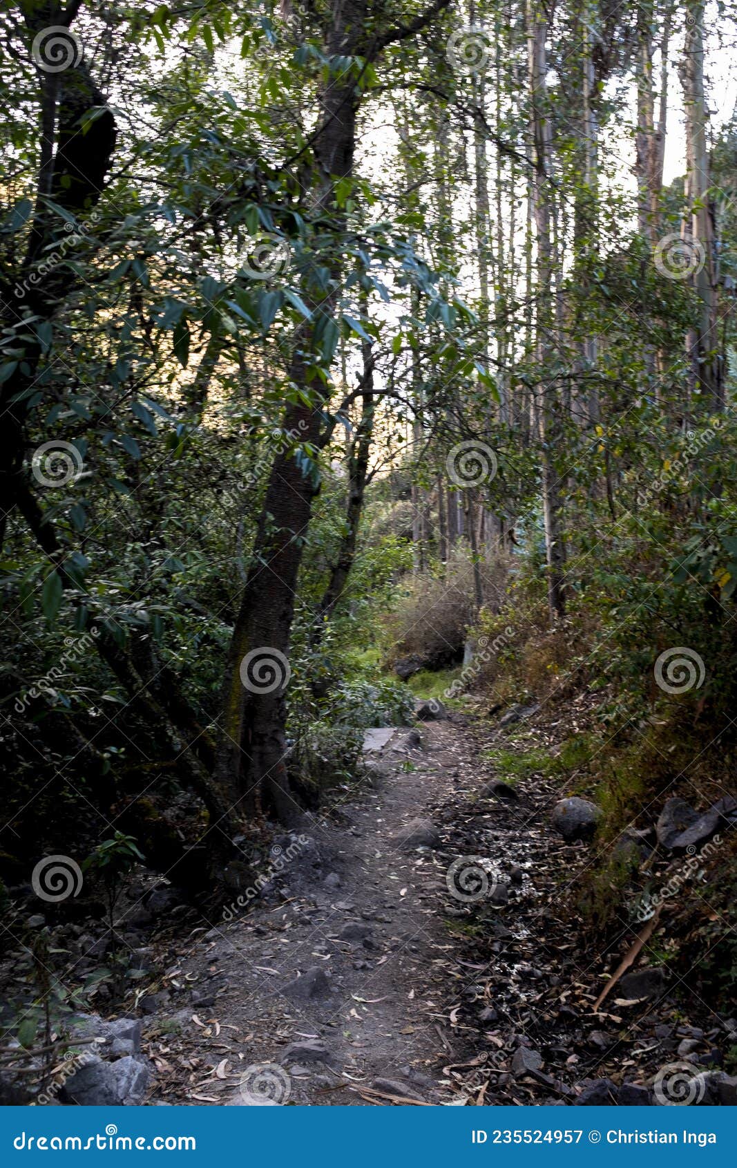 Image of a Pathway Trail in Cusco Peru. Stock Image - Image of green ...