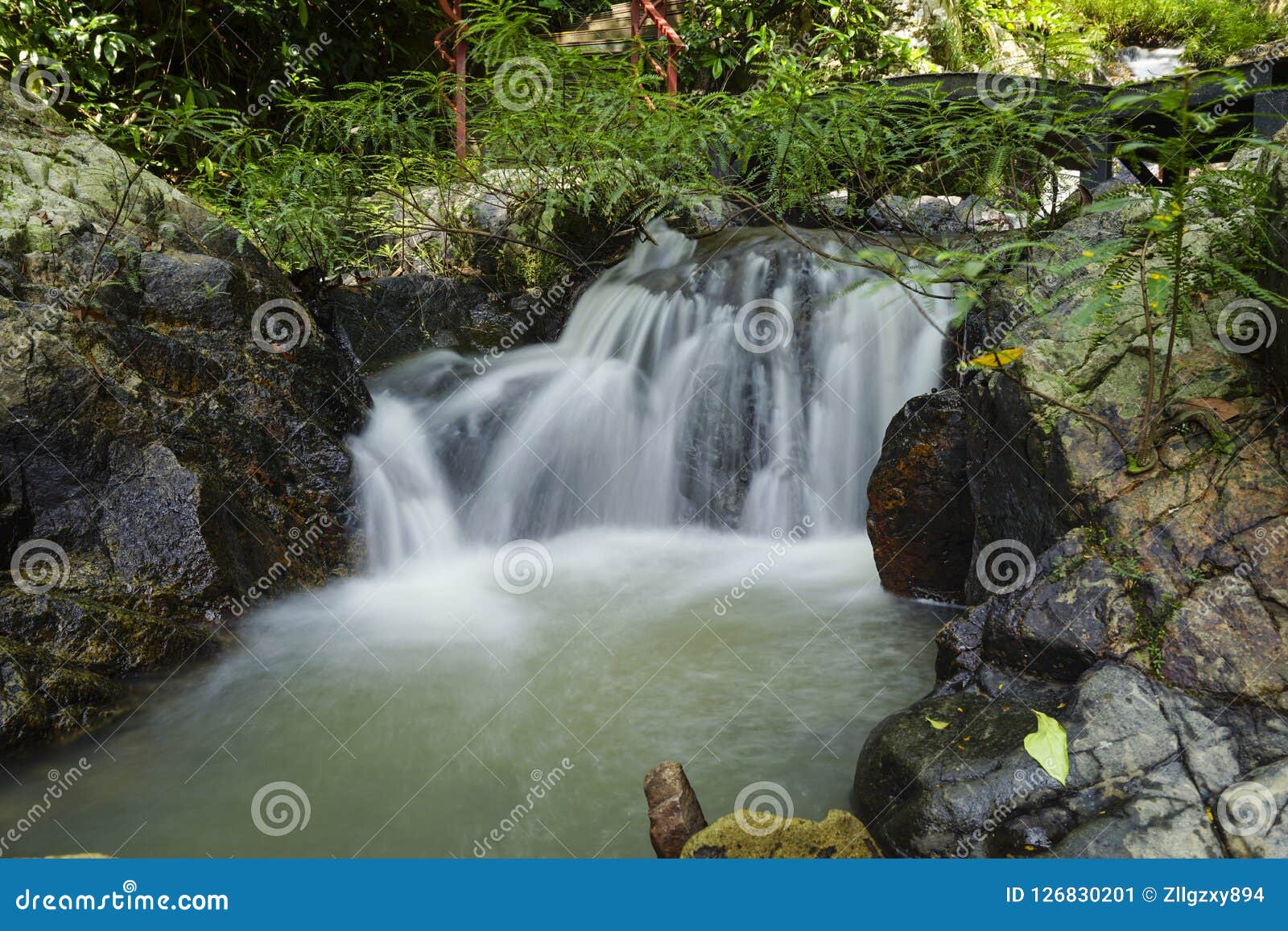 Waterfall in the Rain Forest Stock Image - Image of cascade, asia ...