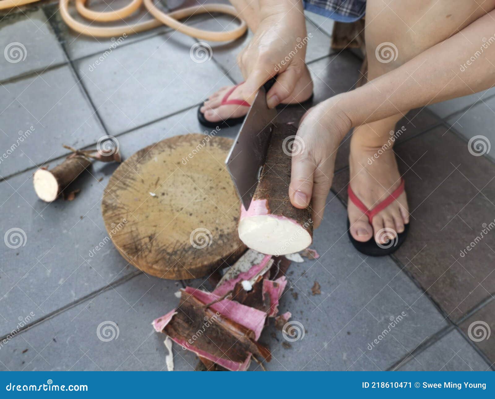 Peel Skin,cut and Slice Raw Tapioca Root. Stock Image - Image of female ...