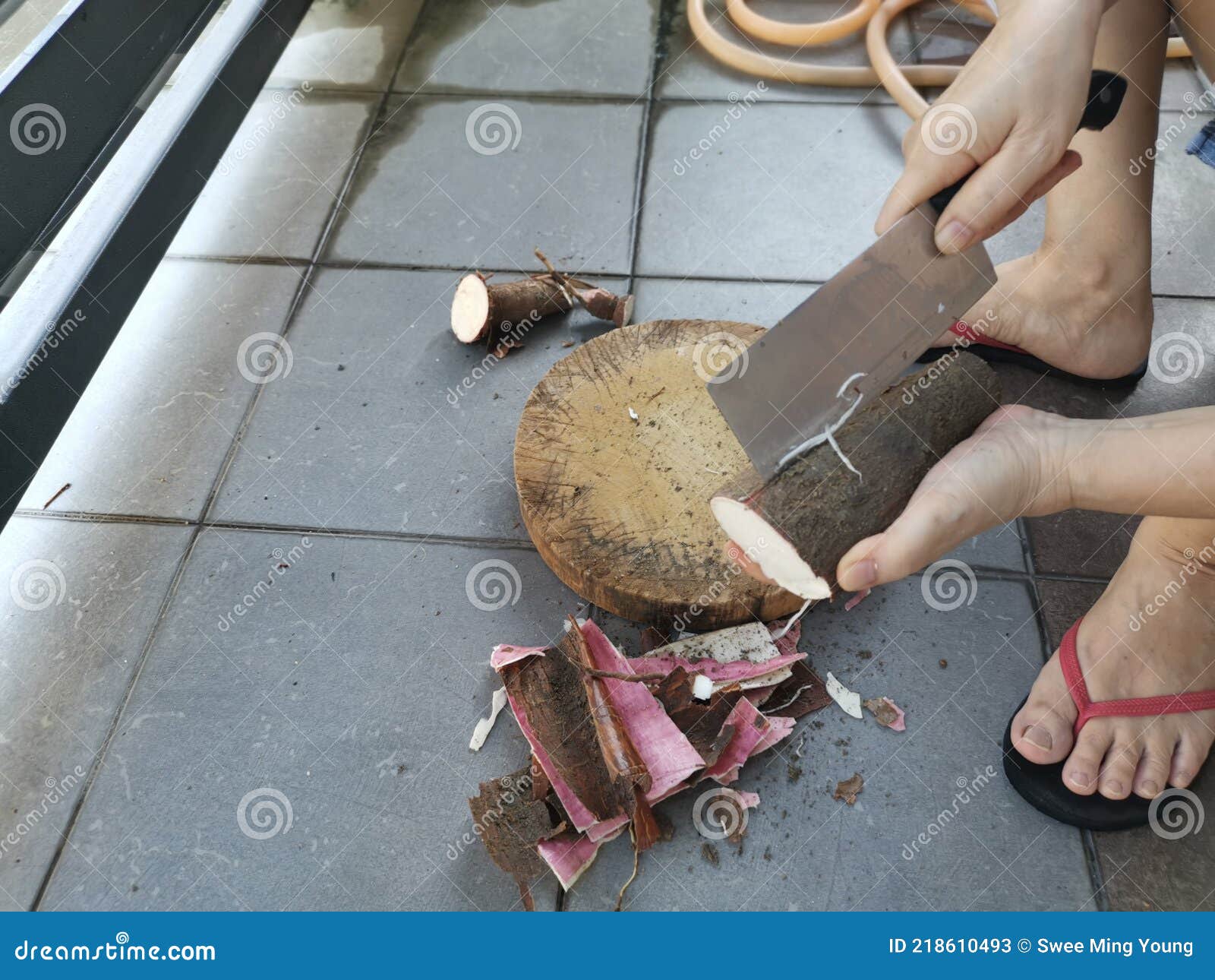Peel Skin,cut and Slice Raw Tapioca Root. Stock Image - Image of female ...