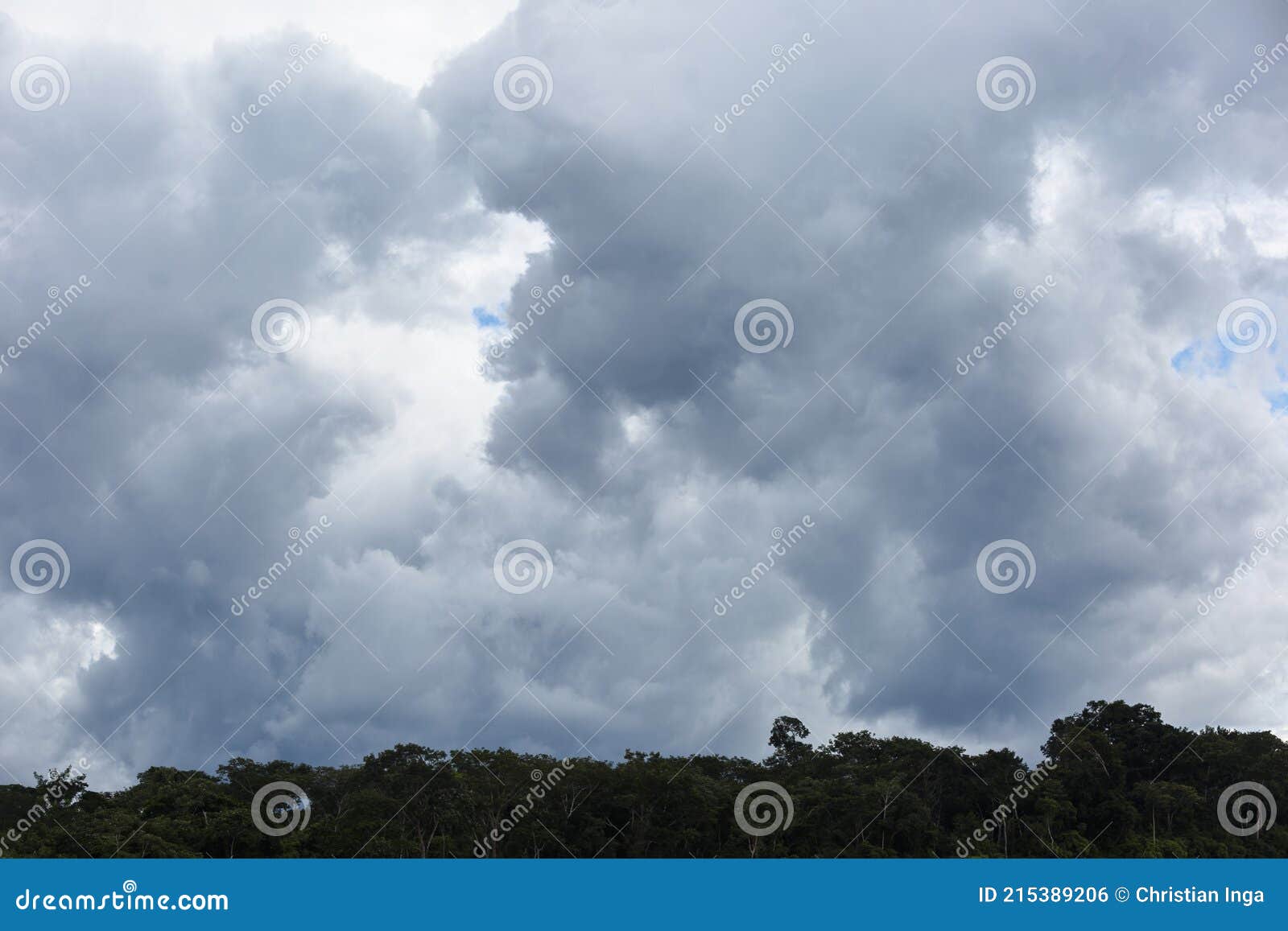 Image of Peruvian Rain Forest. Tropical Vegetation in Amazon Jungle ...