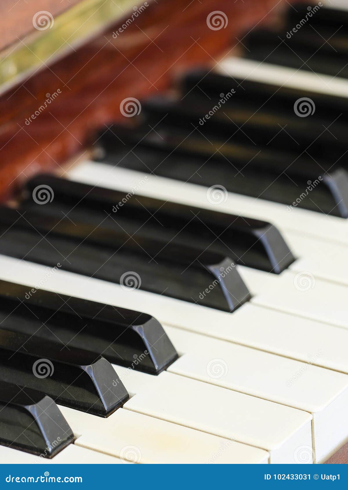 Piano keyboard close up stock image. Image of electronic - 102433031