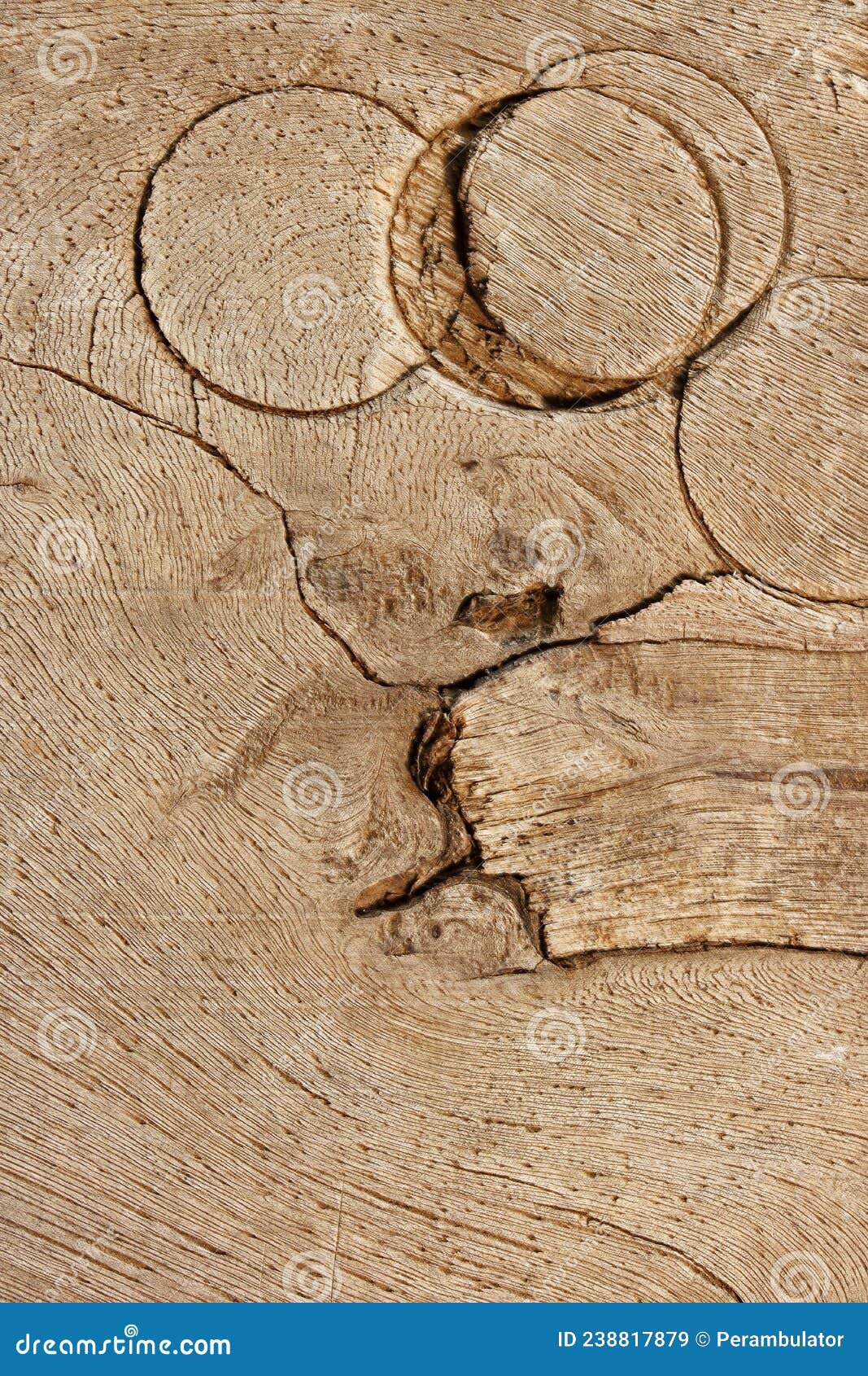 A PIECE of OLD WOOD with IMPRESSION MARKS MADE with a CIRCULAR TOOL ...