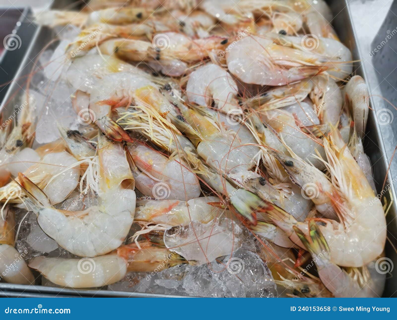 Pile of Fresh White Sea Prawn on Ice Stock Photo - Image of meal ...