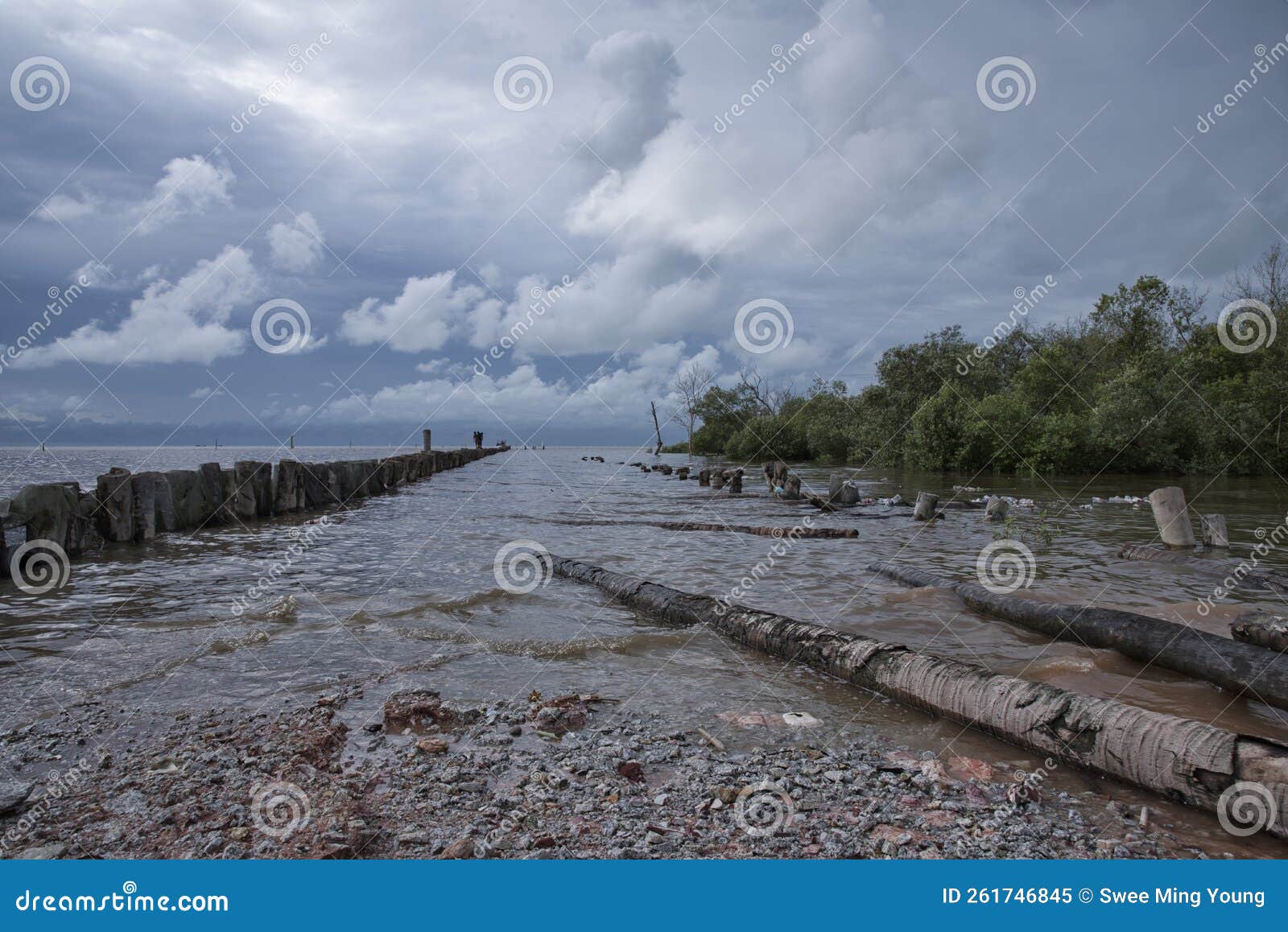 Pile in a Row of Log Jetty by the Sea Stock Image - Image of cloudy ...