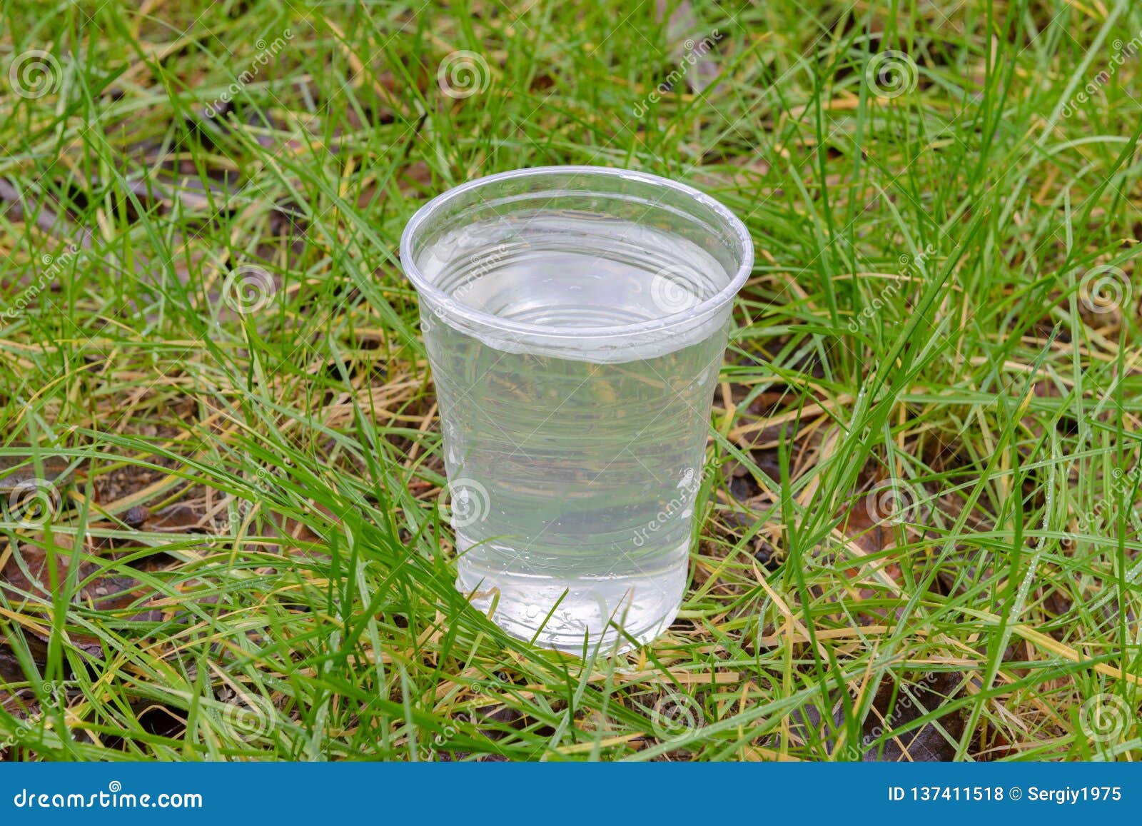 Plastic Cup with Water in the Grass Stock Photo - Image of health ...