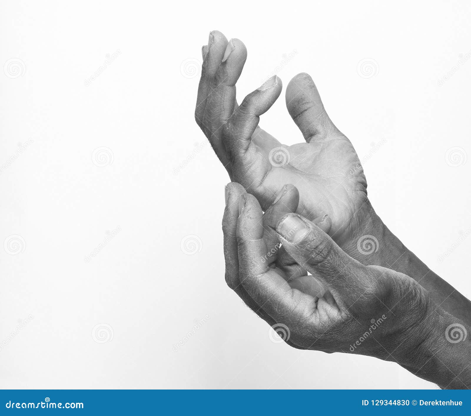 Praying Hands Photography