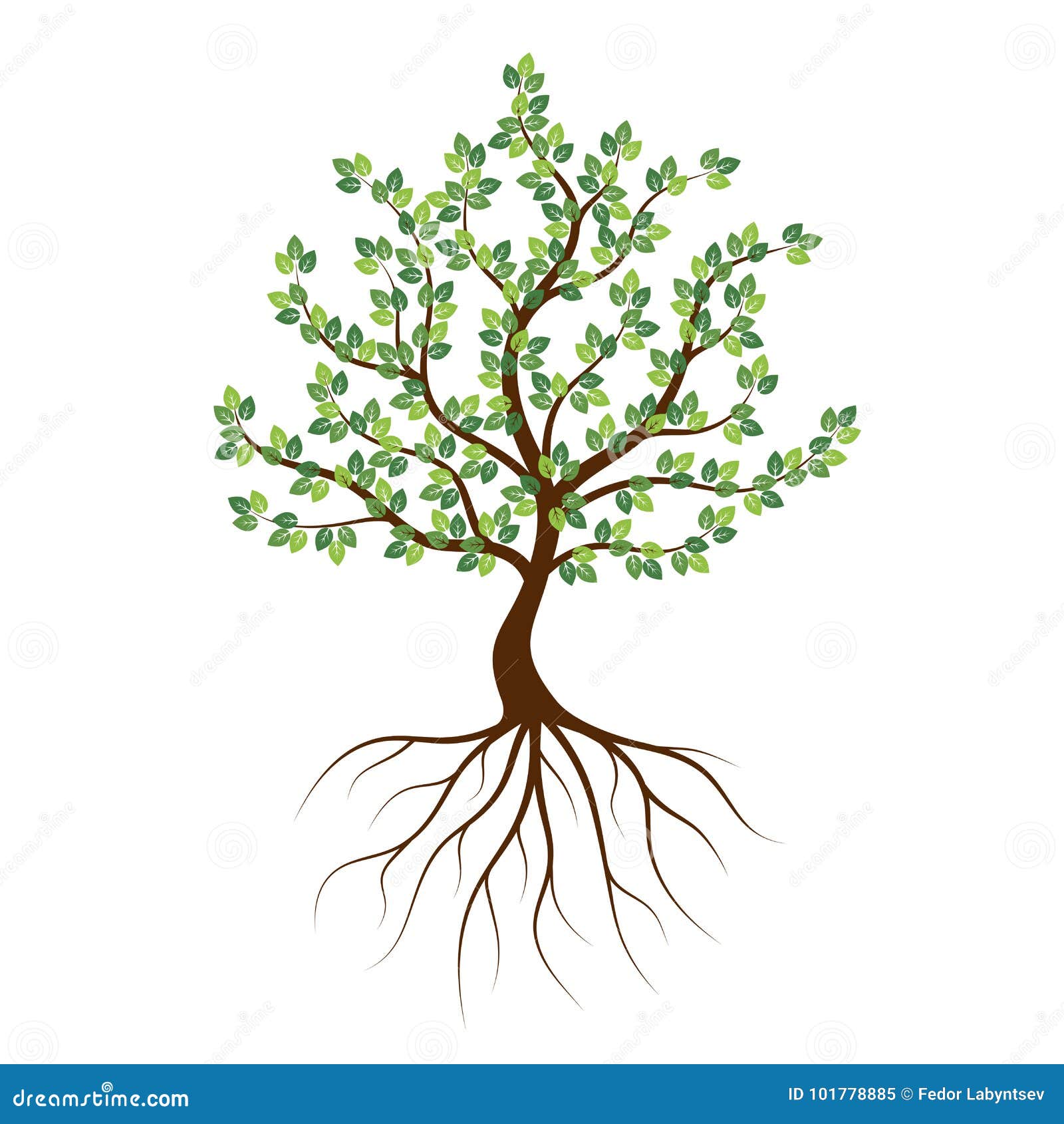 Green Tree with Roots on a White Background. Stock Vector ...