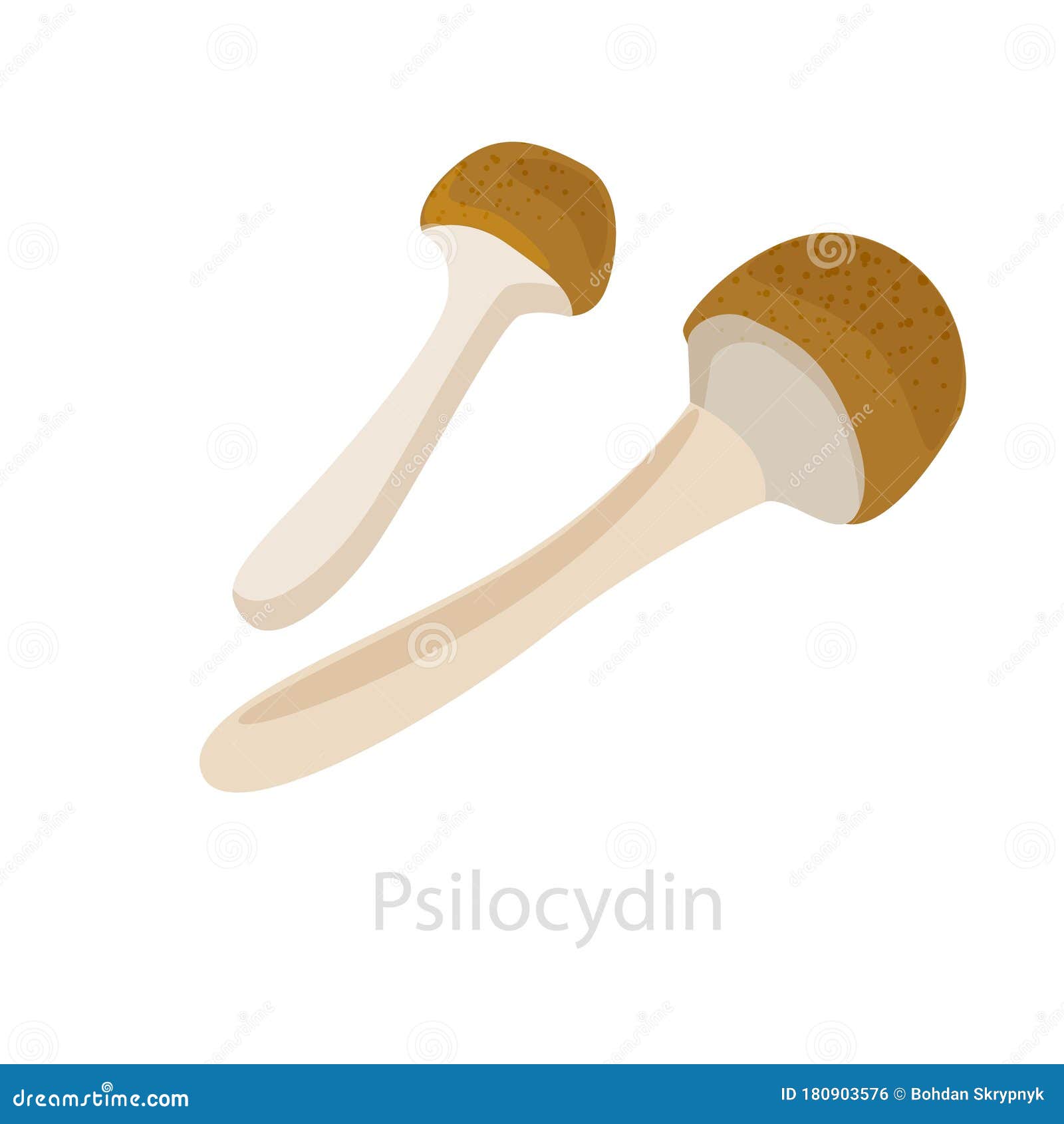 Image of Psilocybin Mushrooms. the Concept of the Psychedelic Mushroom ...