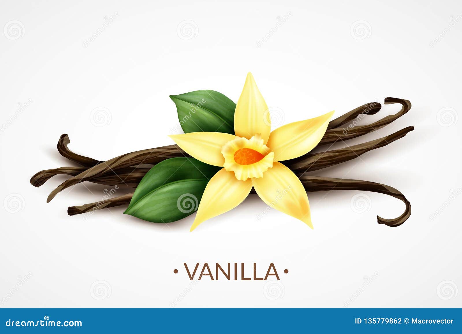 Vanille Stock Illustrations, Vecteurs, & Clipart – (59,862 Stock ...