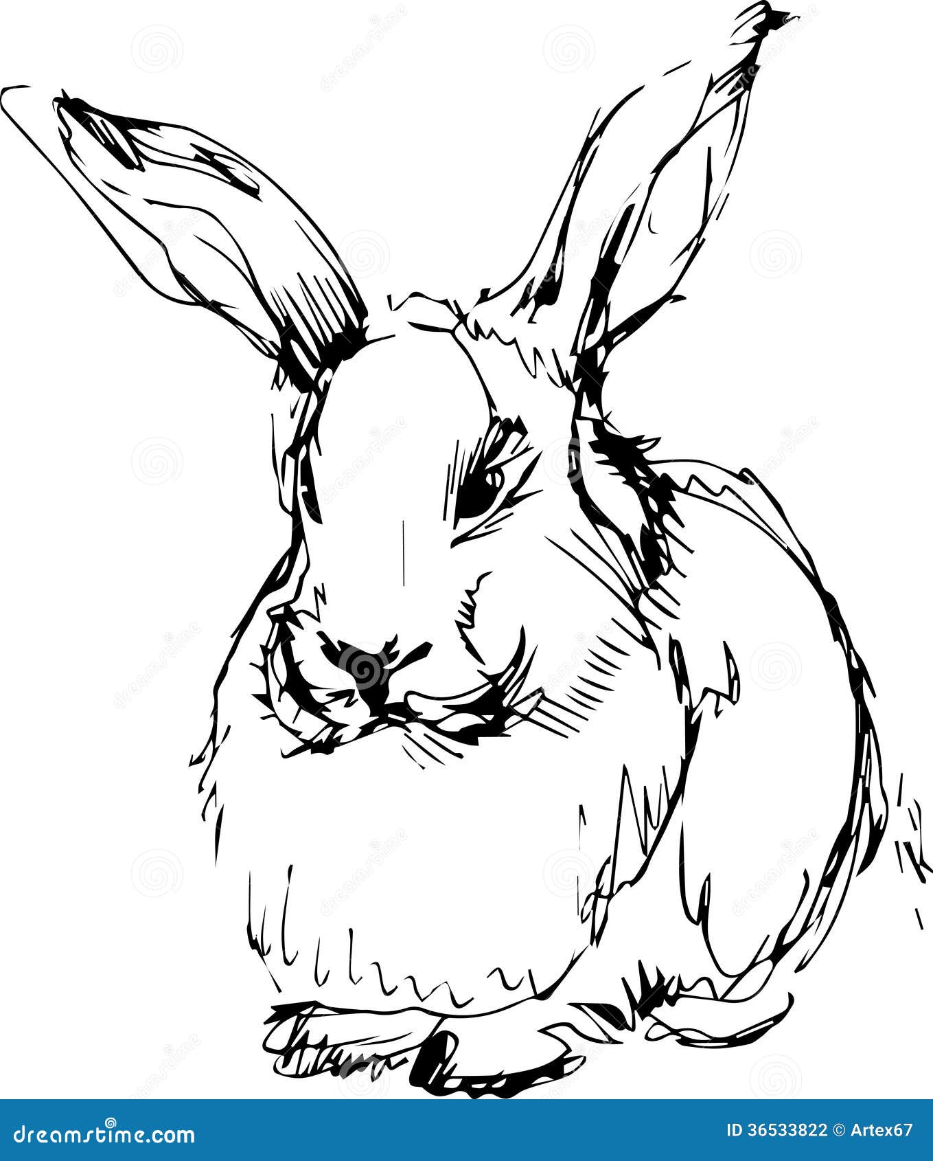 Image of a Rabbit with Long Ears Stock Vector - Illustration of drawing ...