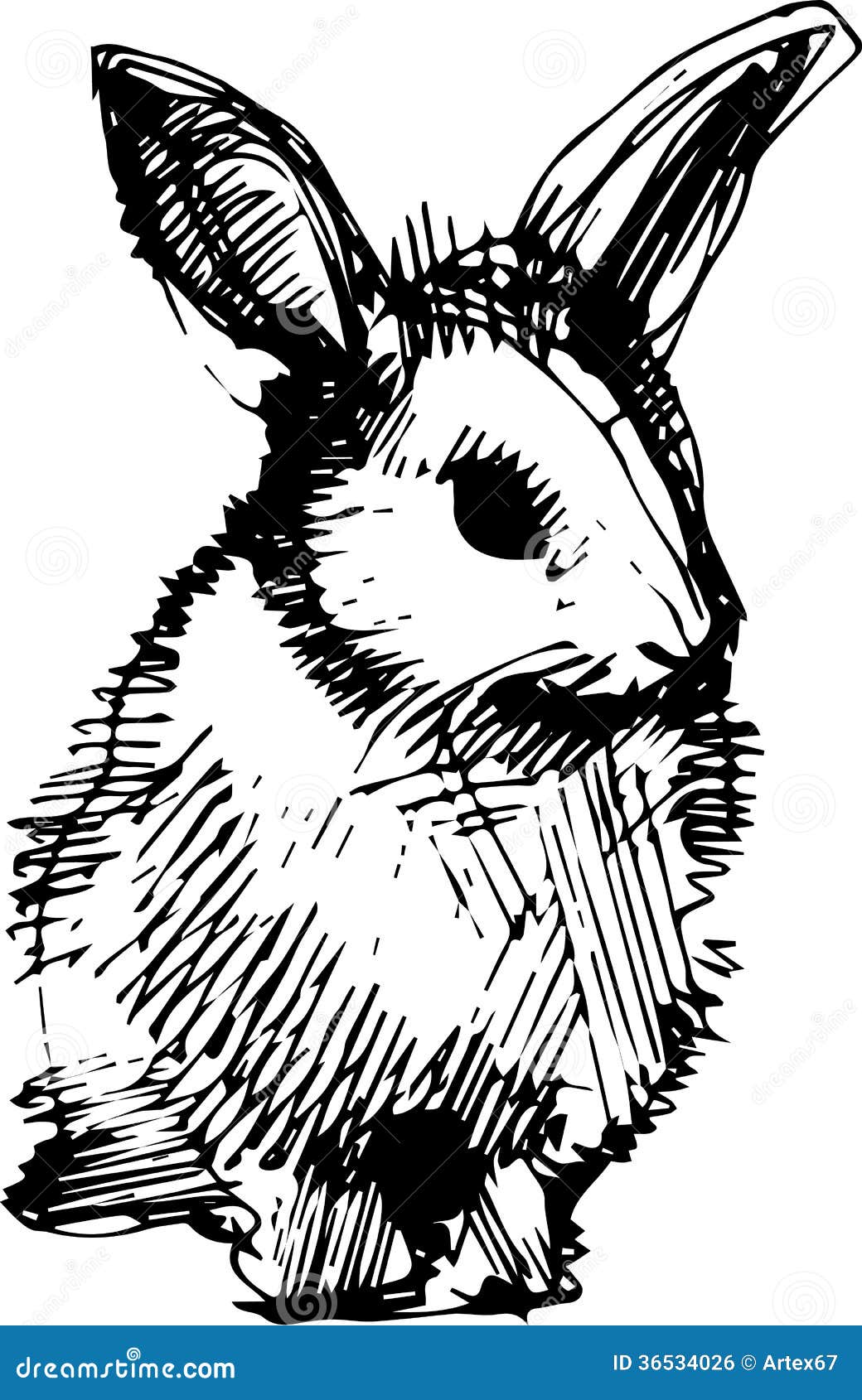 Image of a Rabbit with Long Ears Stock Vector - Illustration of beauty ...