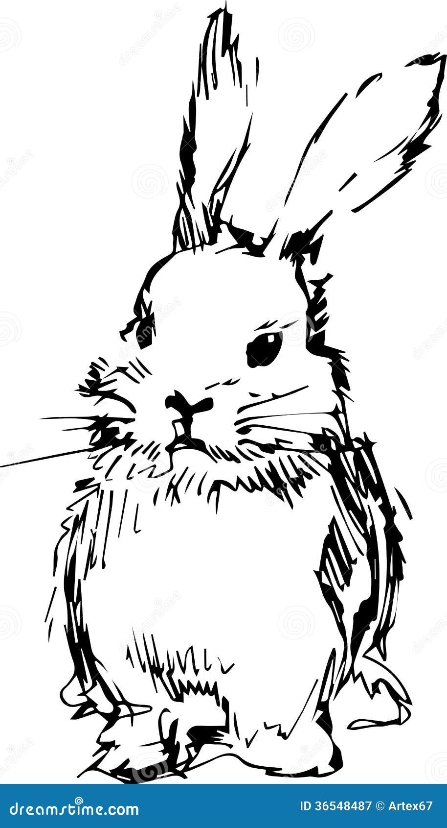 A Image of a Rabbit with Long Ears Stock Vector - Illustration of cute ...