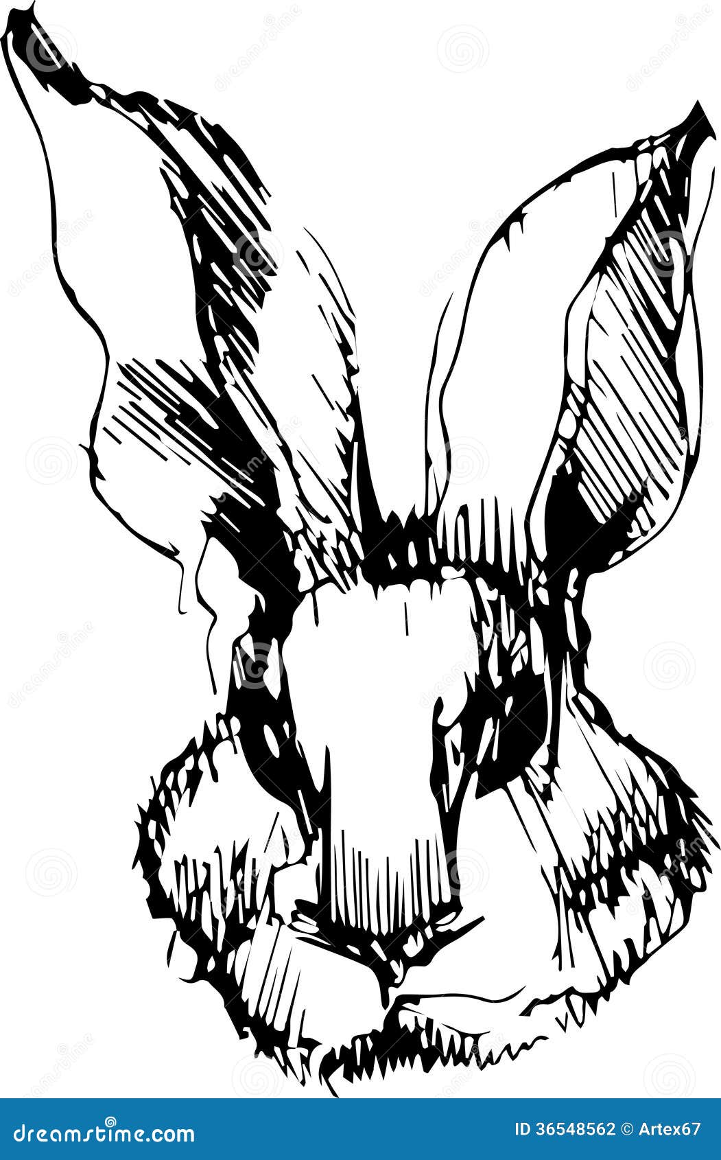 A Image of a Rabbit with Long Ears Stock Vector - Illustration of ...