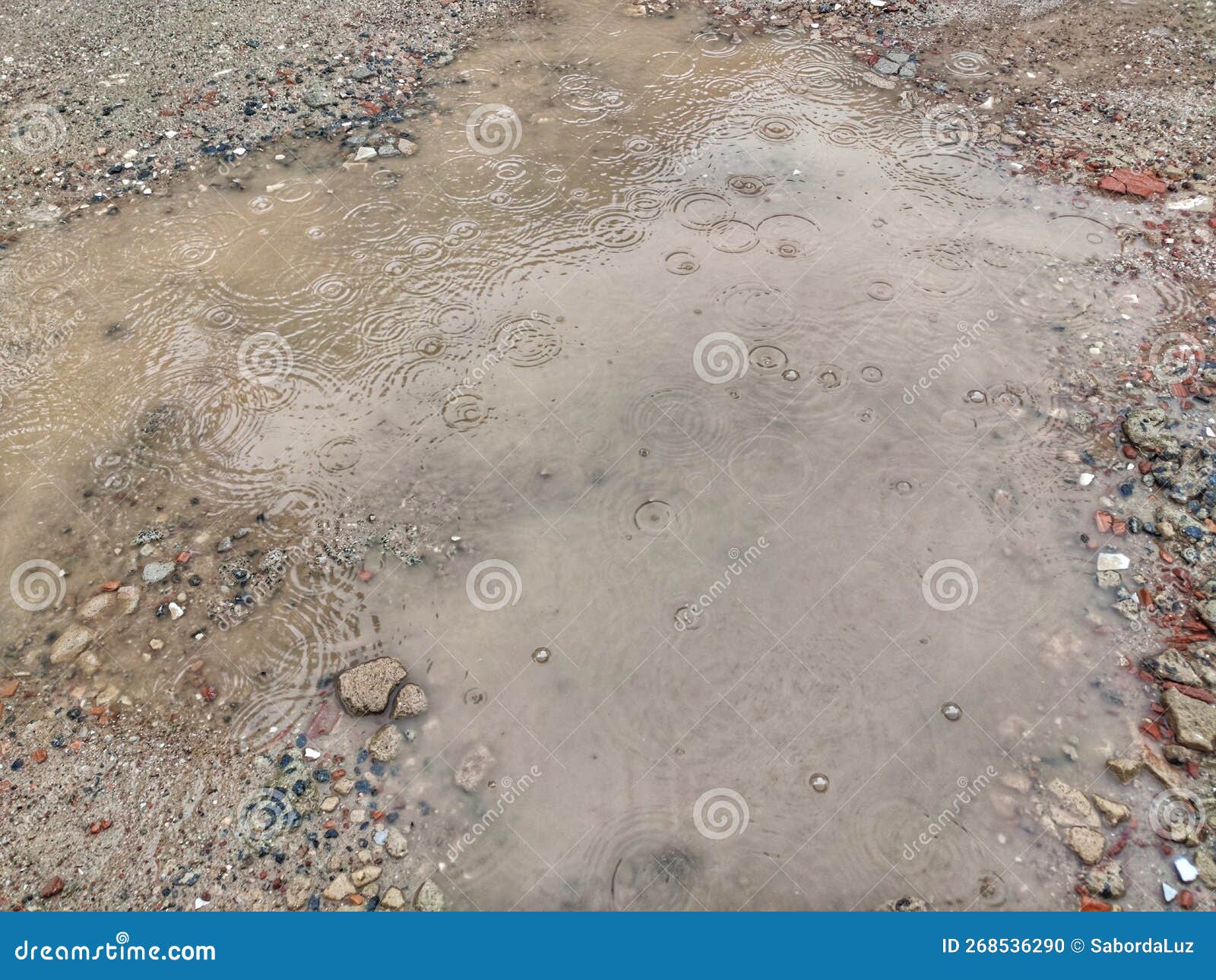 Image of a Rain Puddle on the Ground on a Rainy Day. Stock Photo ...