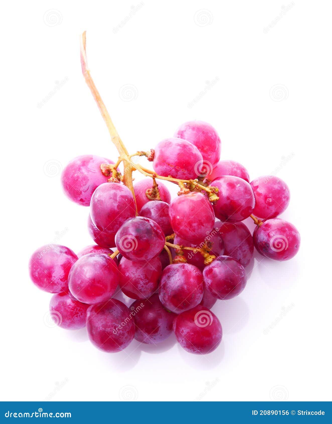 59,697 Red Grape Bunch Stock Photos - Free & Royalty-Free Stock Photos ...