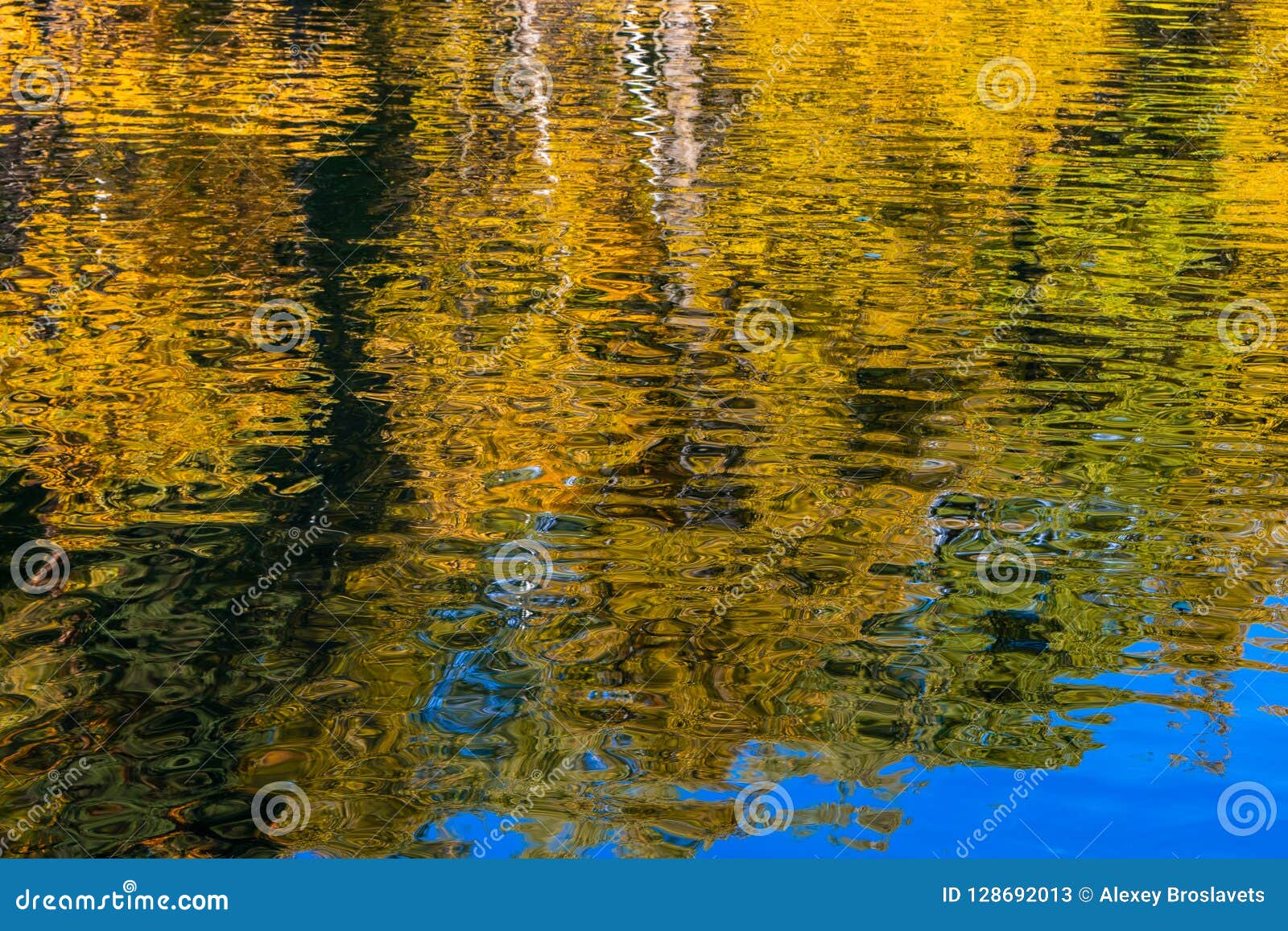 Image of the Reflection of Autumn Trees in the Water Stock Image ...