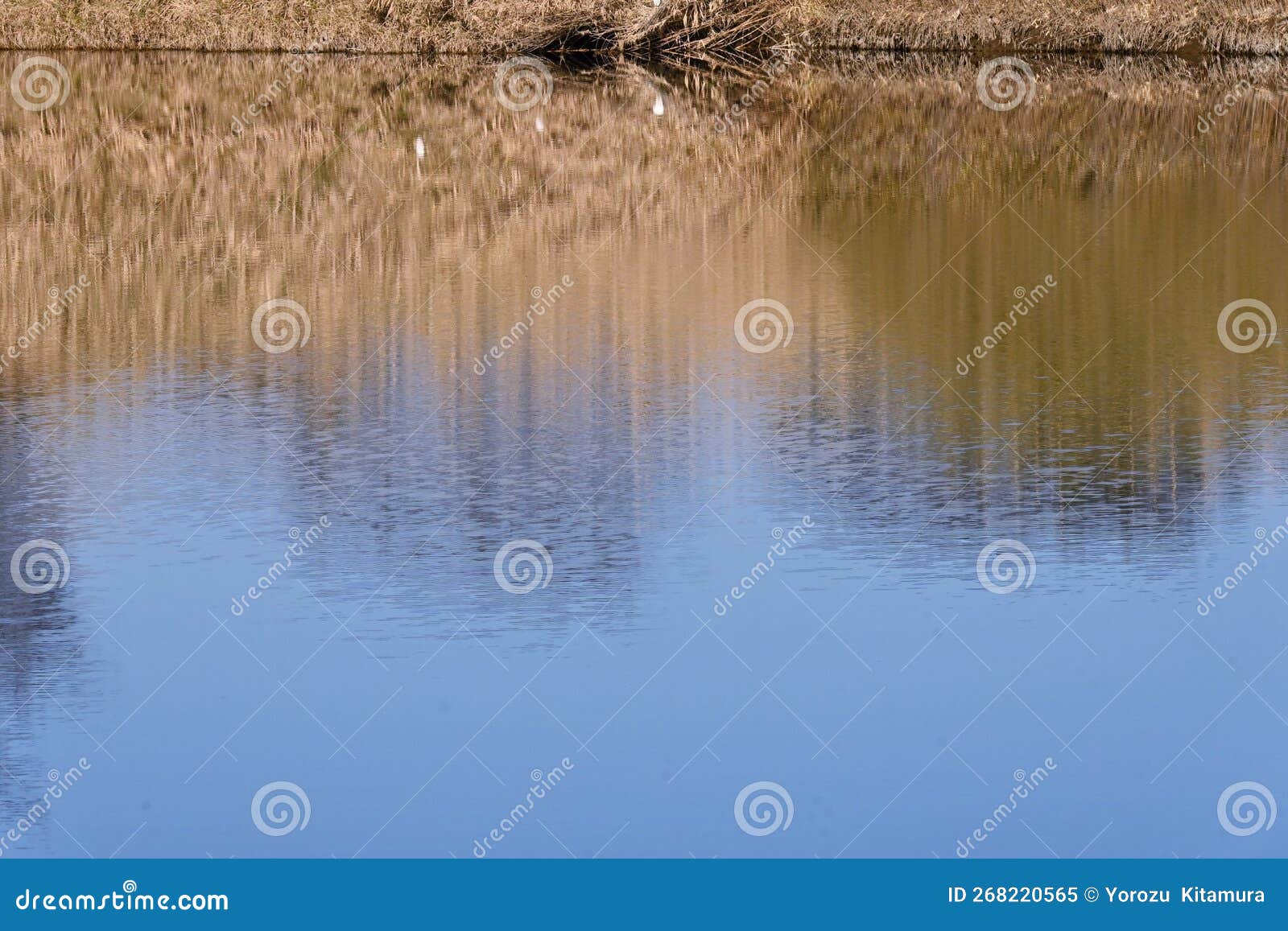 An Image of Reflections on the Surface of the Water. Stock Image ...
