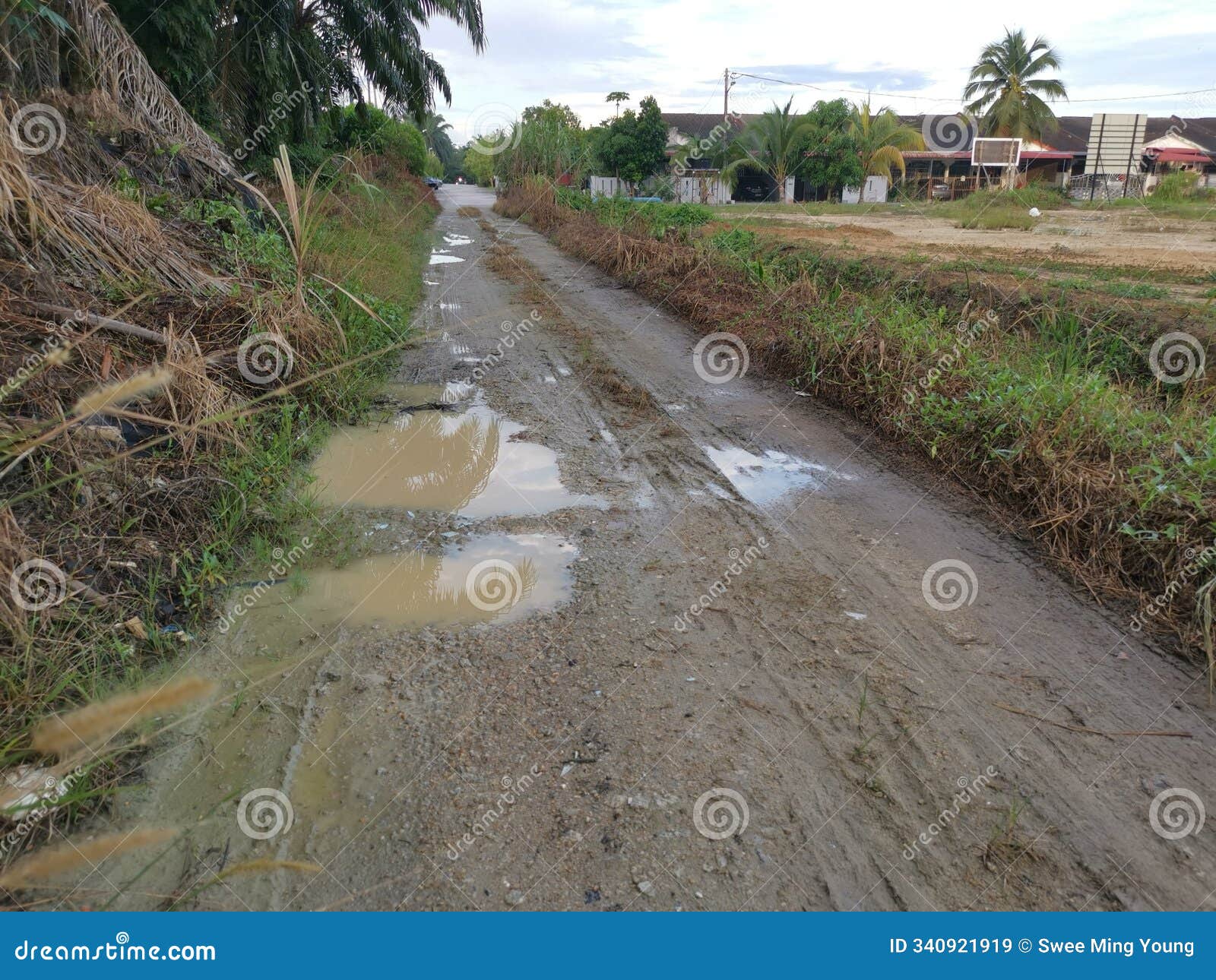 Reflective Pool of Stagnant Water after Heavy Rainfall on the Rural ...
