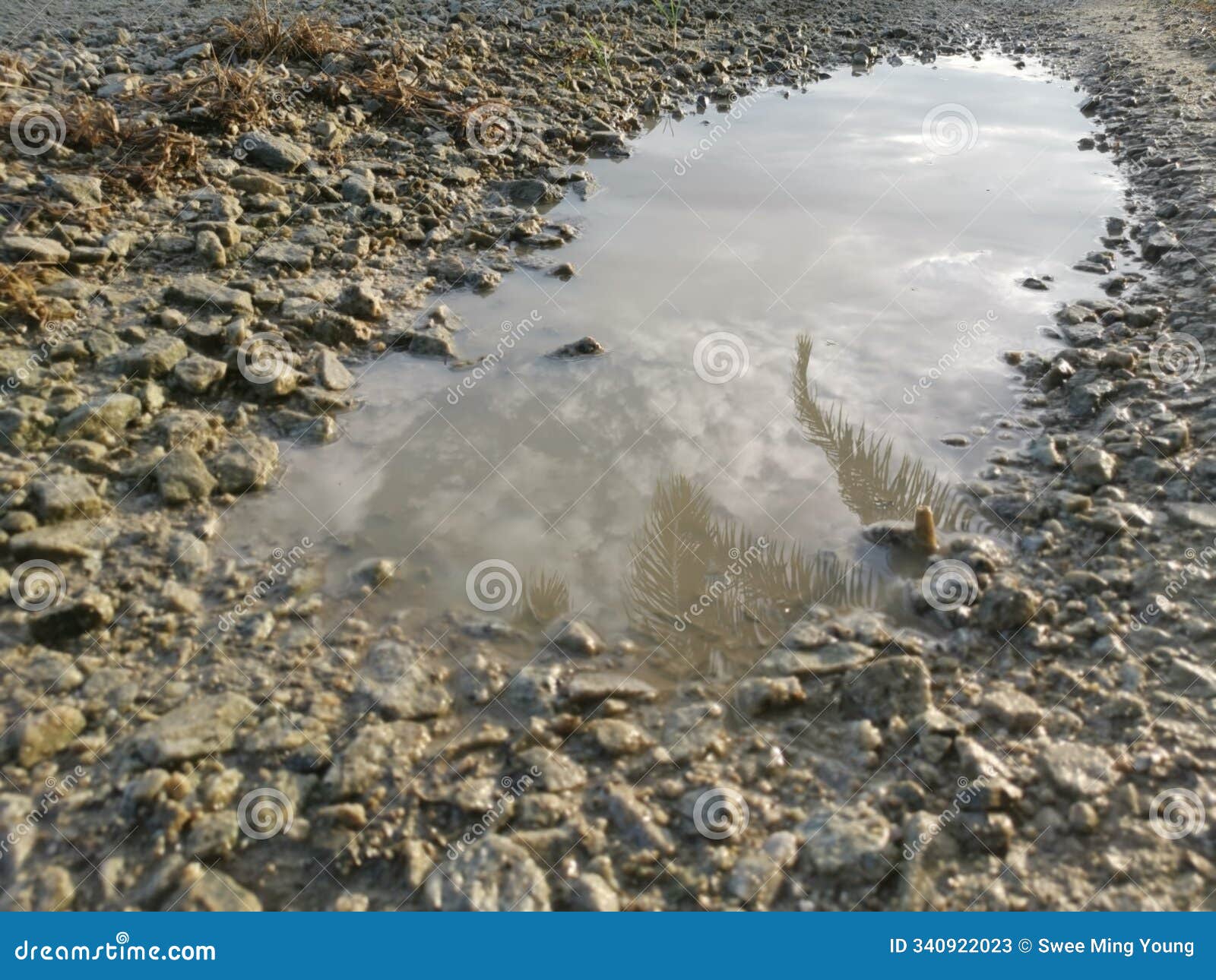 Reflective Pool of Stagnant Water after Heavy Rainfall on the Rural ...