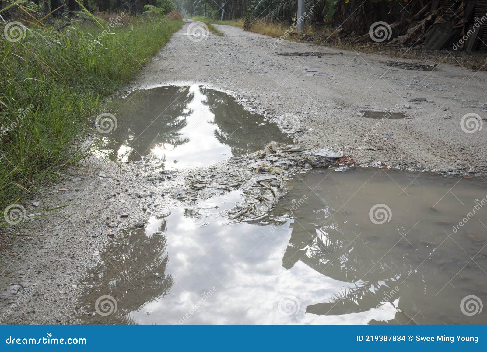 Reflective Puddle Along the Rural Pathway Stock Photo - Image of murky ...