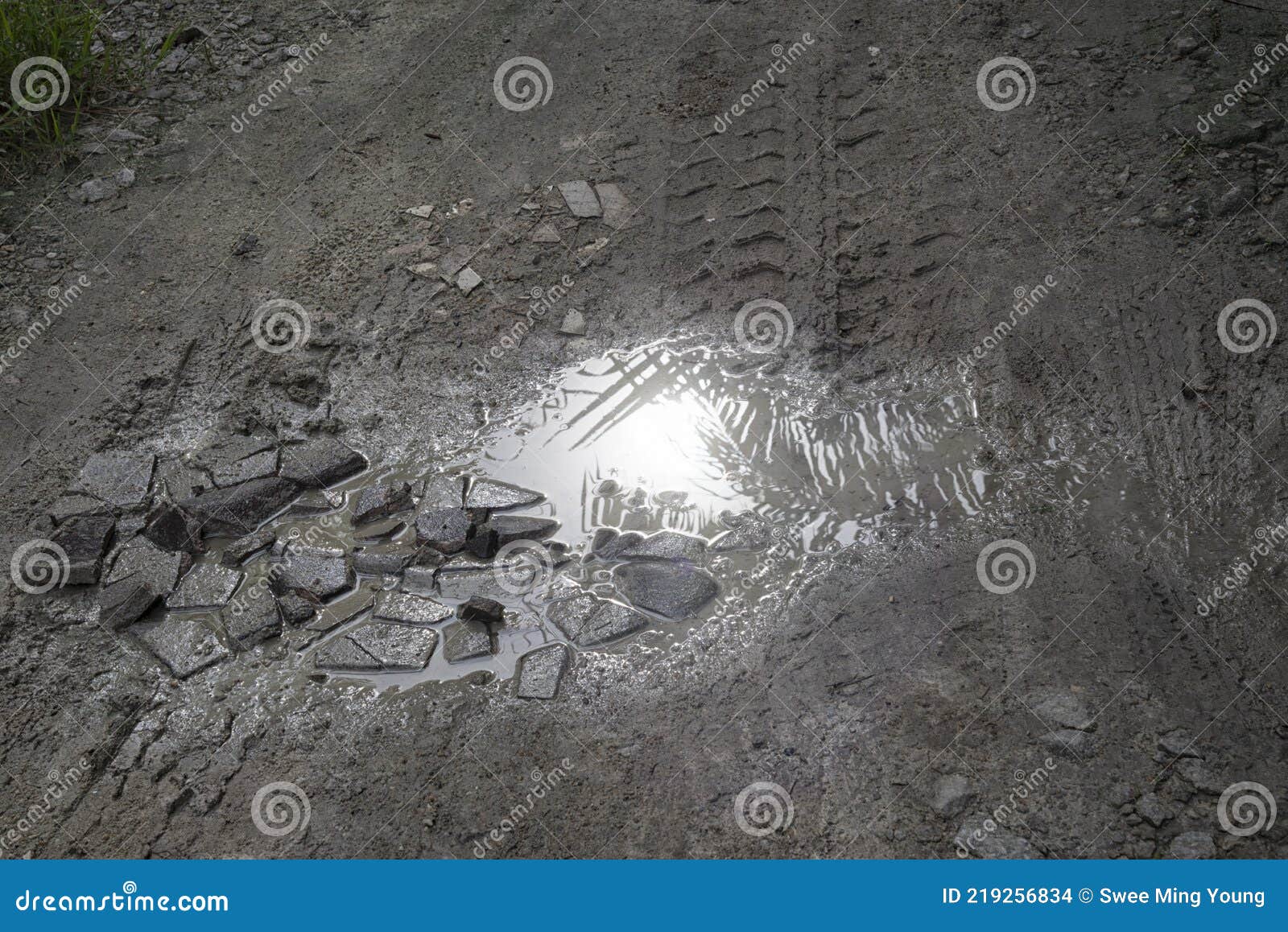 Reflective Puddle Along the Rural Pathway Stock Photo - Image of nature ...