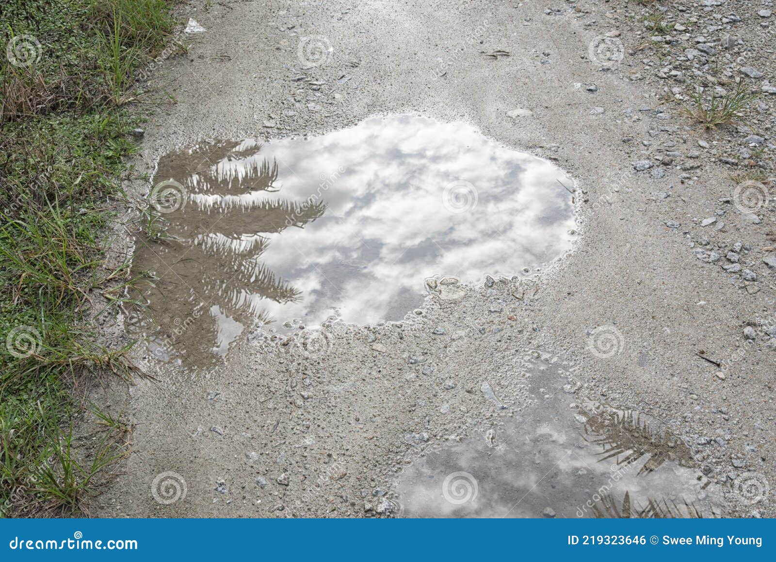 Reflective Puddle Along the Rural Pathway Stock Photo - Image of glow ...