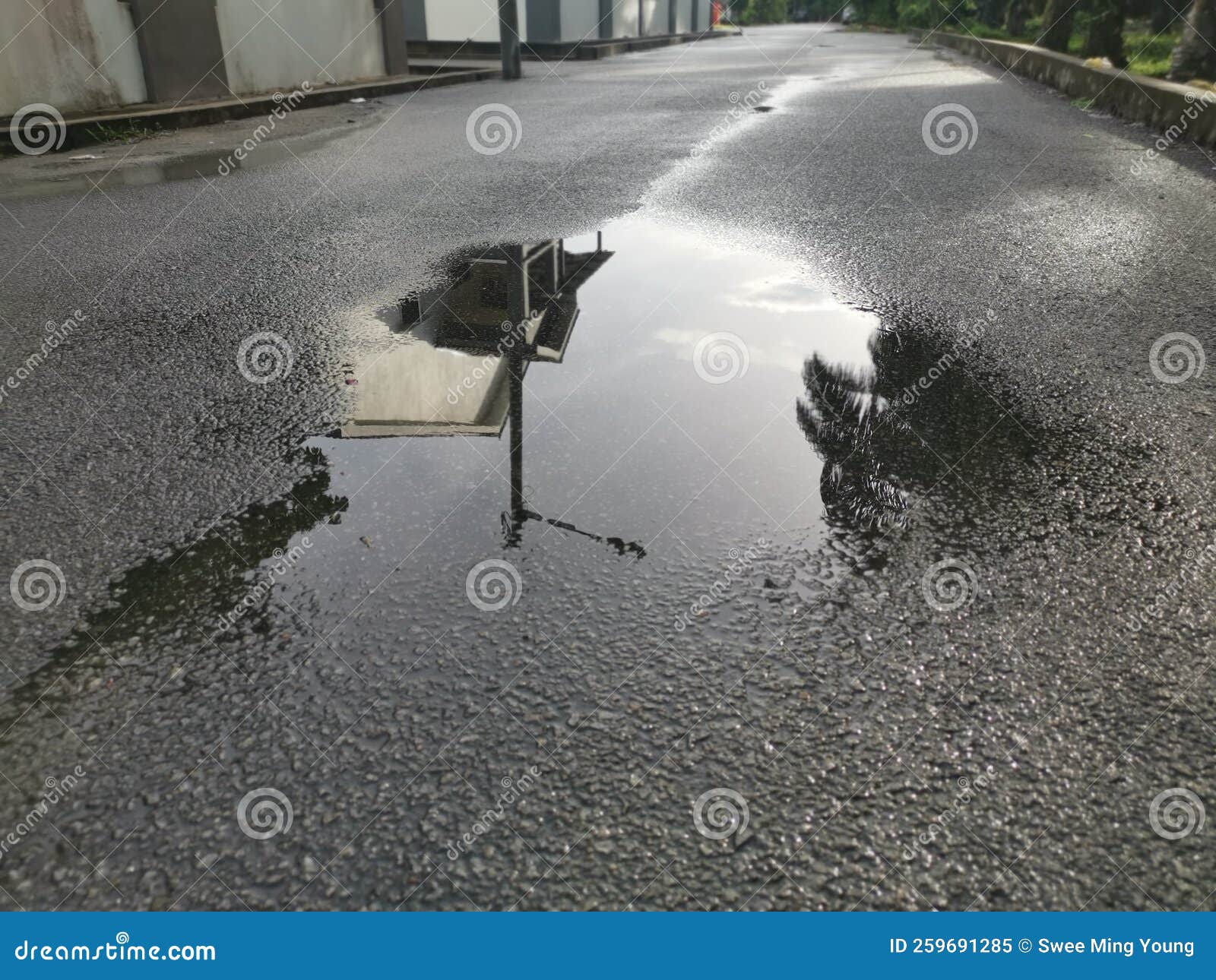 Reflective Puddle with Stagnant Water on the Roadside after the Rain ... Reflective Puddle with Stagnant Water on the Roadside after the Rain ...