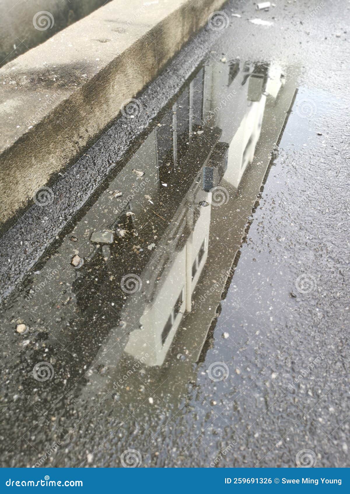 Reflective Puddle with Stagnant Water on the Roadside after the Rain ...