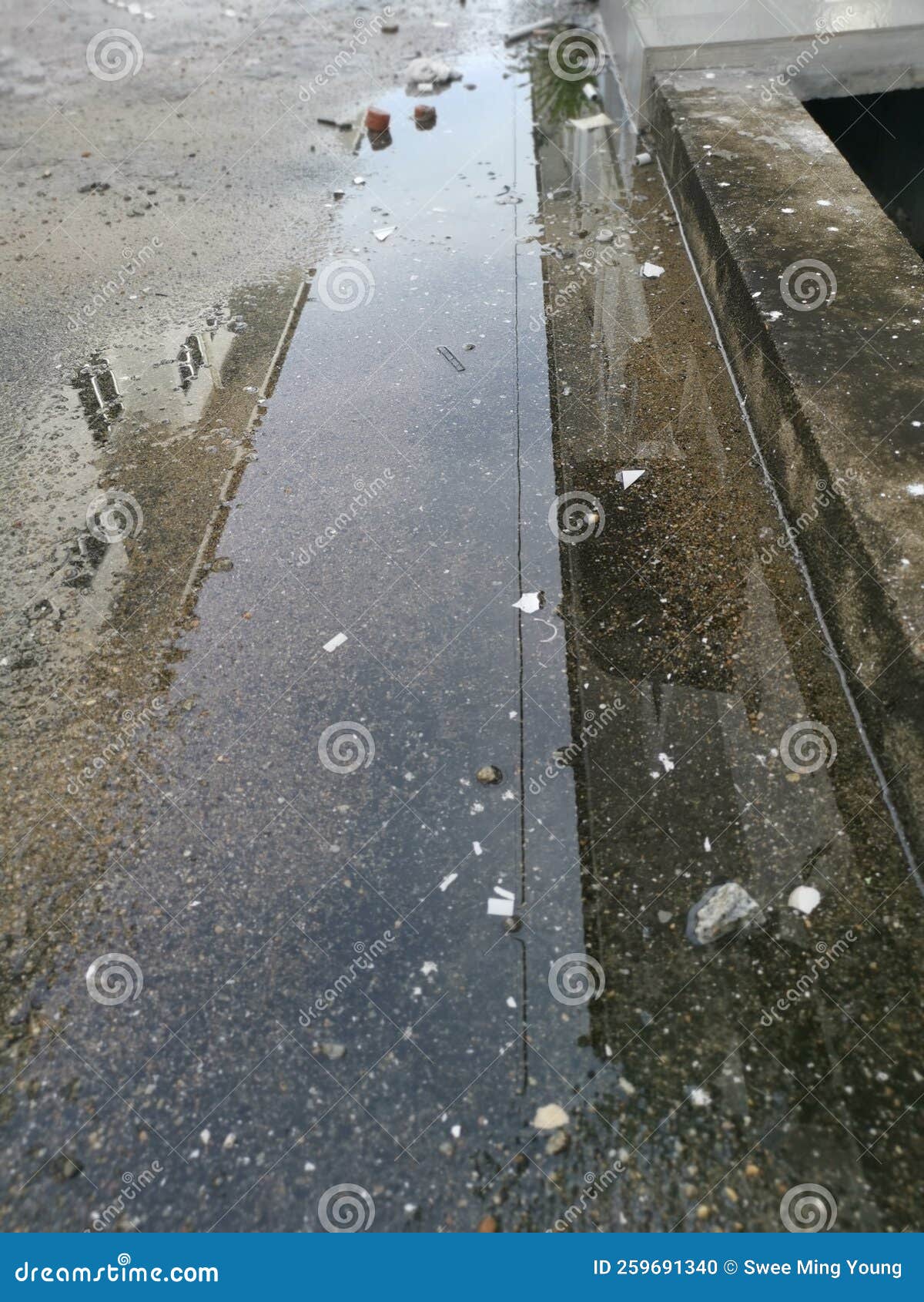 Reflective Puddle with Stagnant Water on the Roadside after the Rain ...