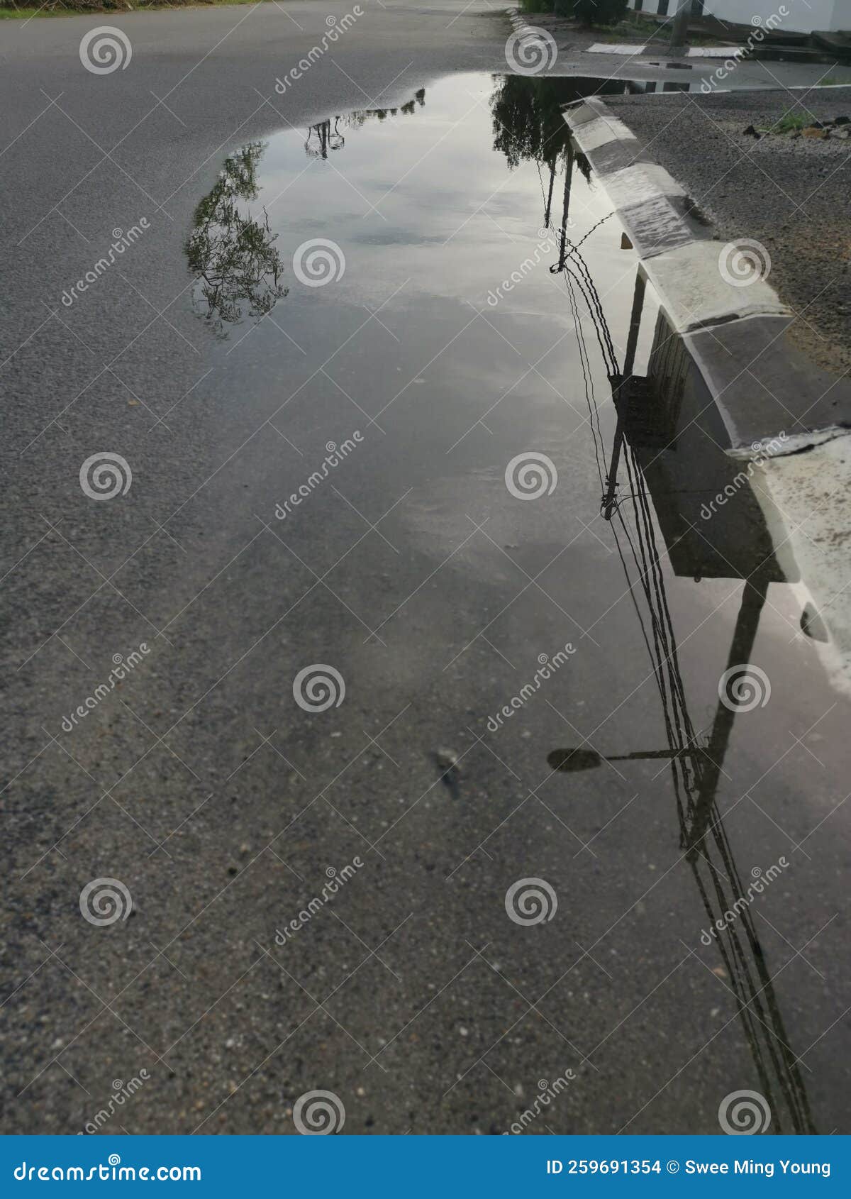 Reflective Puddle with Stagnant Water on the Roadside after the Rain ...