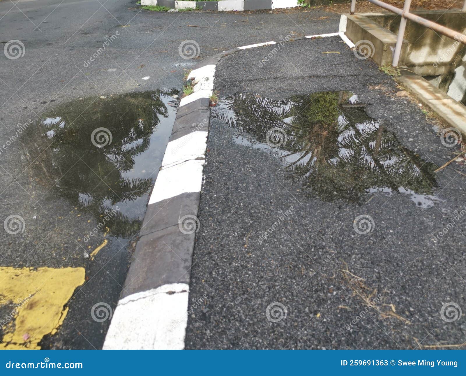 Reflective Puddle with Stagnant Water on the Roadside after the Rain ...
