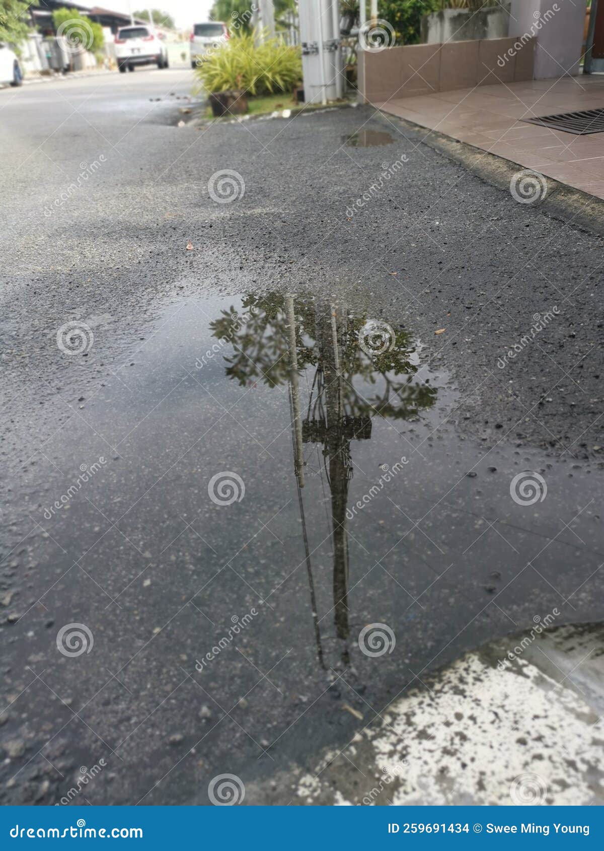 Reflective Puddle with Stagnant Water on the Roadside after the Rain ...