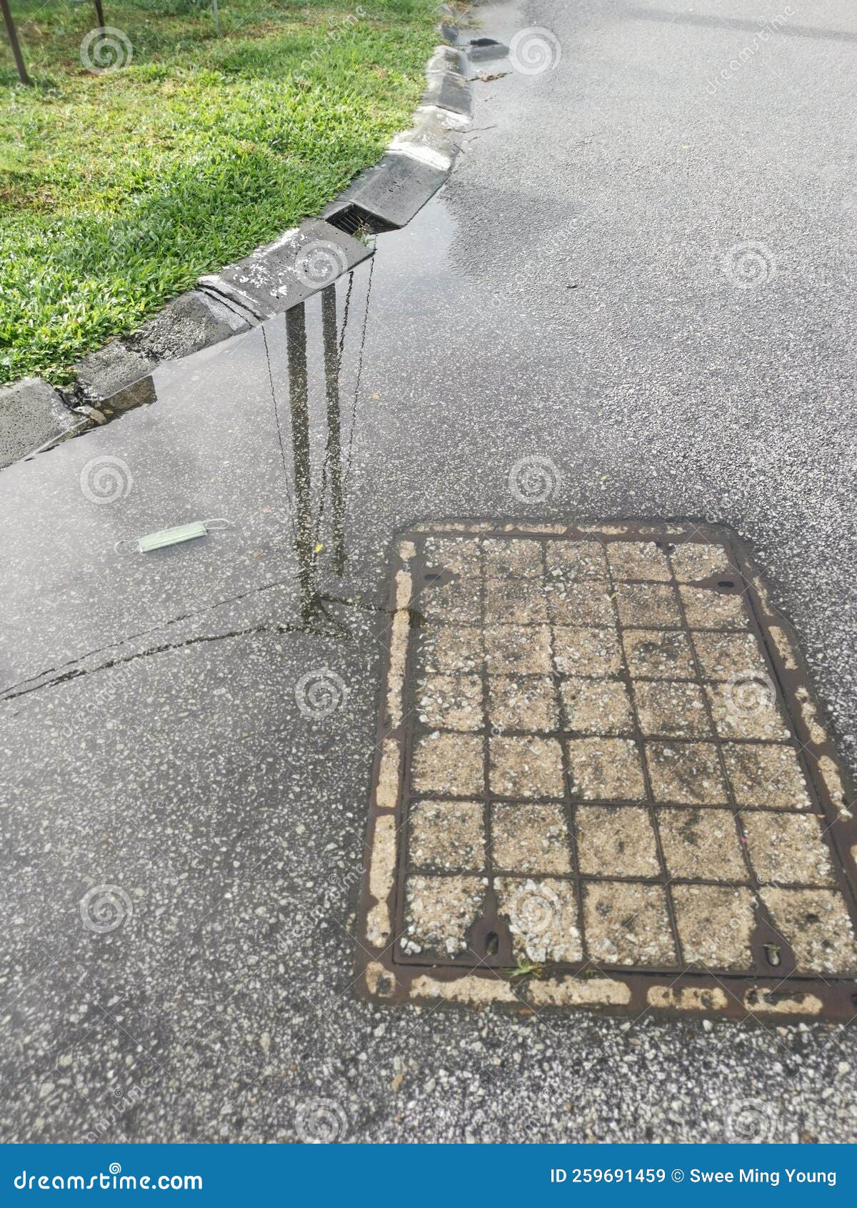Reflective Puddle with Stagnant Water on the Roadside after the Rain ...