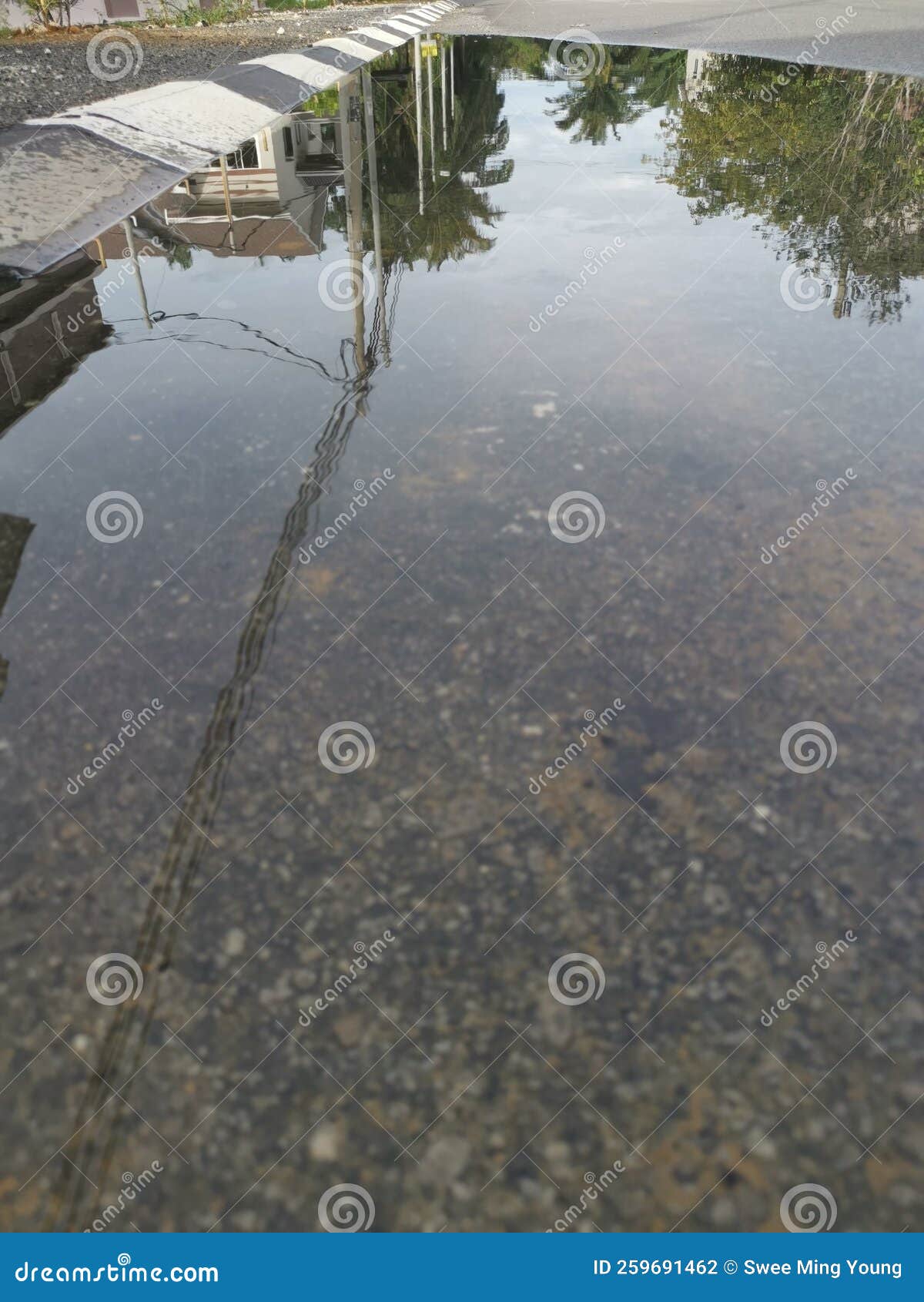 Reflective Puddle with Stagnant Water on the Roadside after the Rain ...