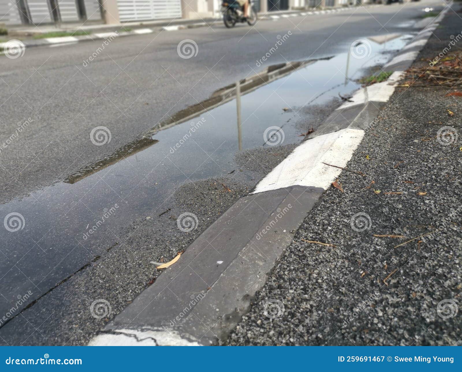 Reflective Puddle with Stagnant Water on the Roadside after the Rain ...