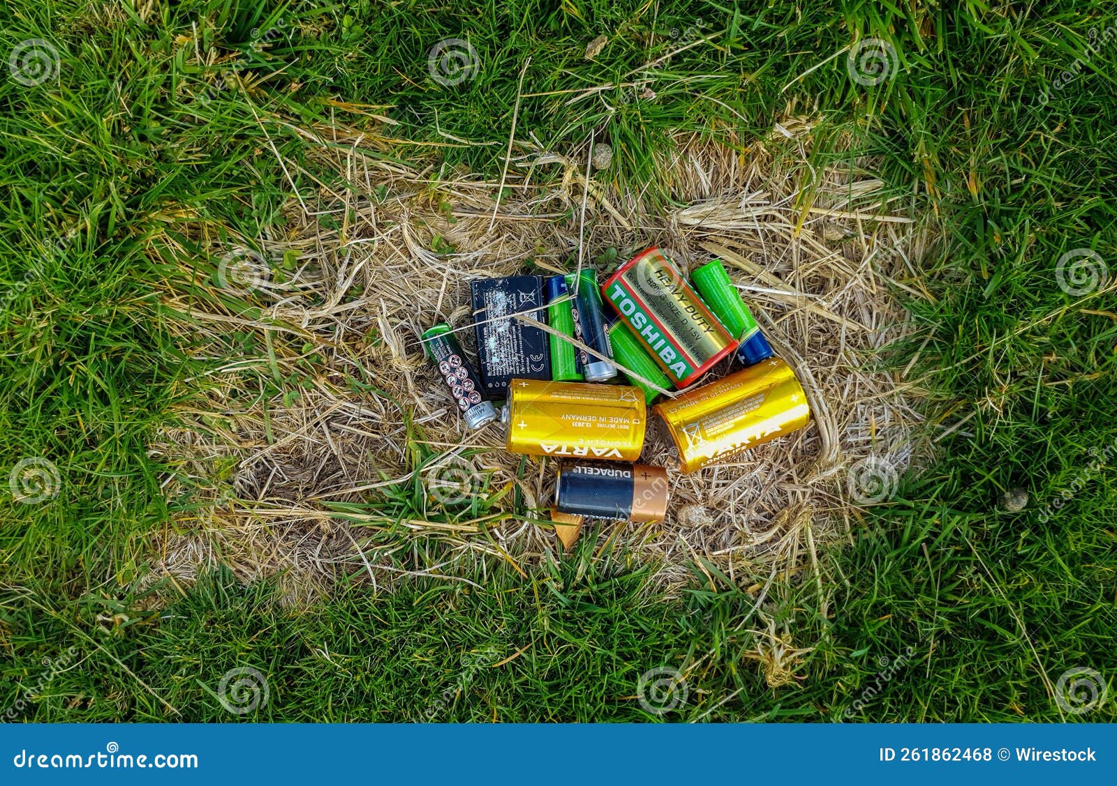 Image Representing the Pollution of Nature with Batteries and ...