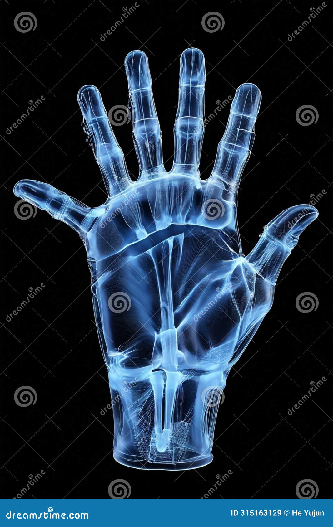 Bones at Your Fingertips: 3D Illustration of a Human Hand X-ray Stock ...