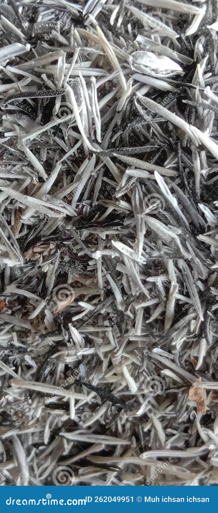 Image of Rice Husk that Has Been Burned Stock Image - Image of burned ...