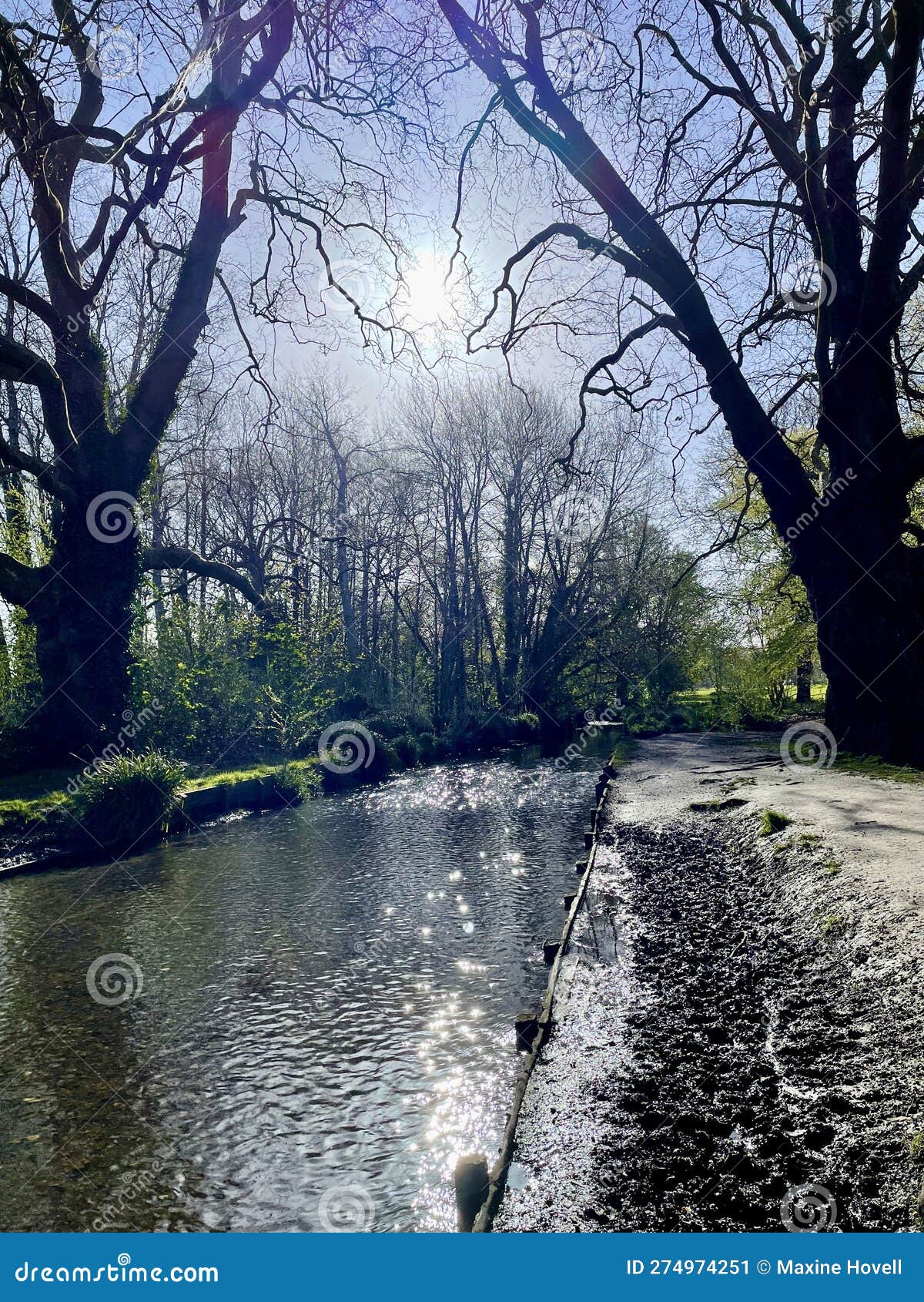 Sun rising over a river stock image. Image of early - 274974251