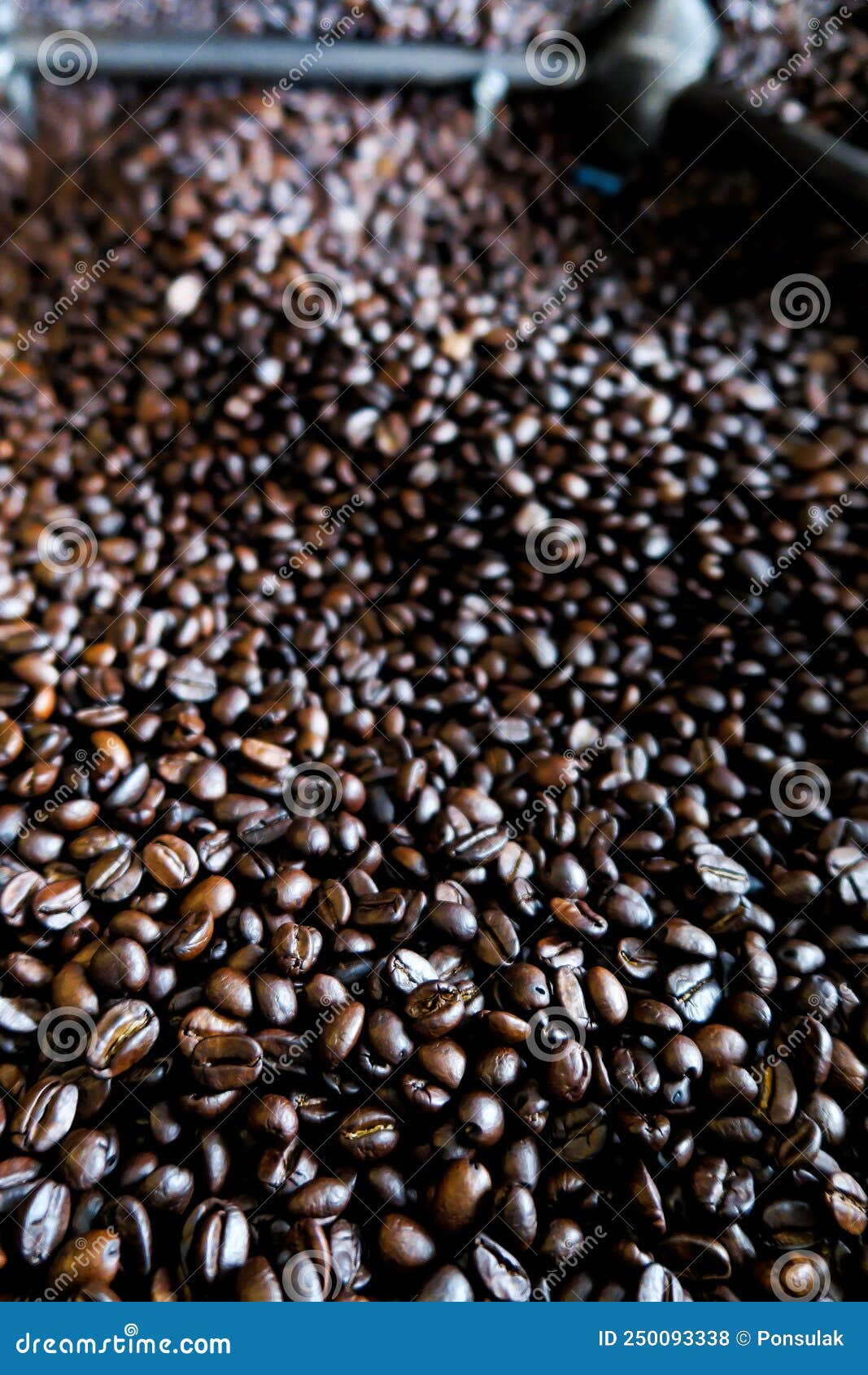 Roasting process of coffee stock photo. Image of dark - 250093338