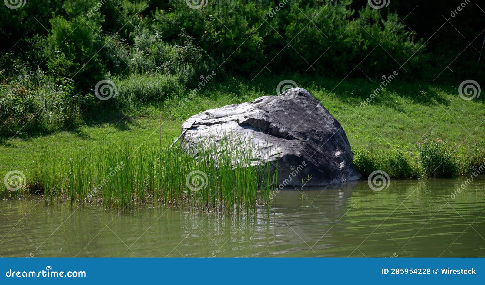 An Image of Rocks and Vegetation in the Water with a Big Rock in the ...