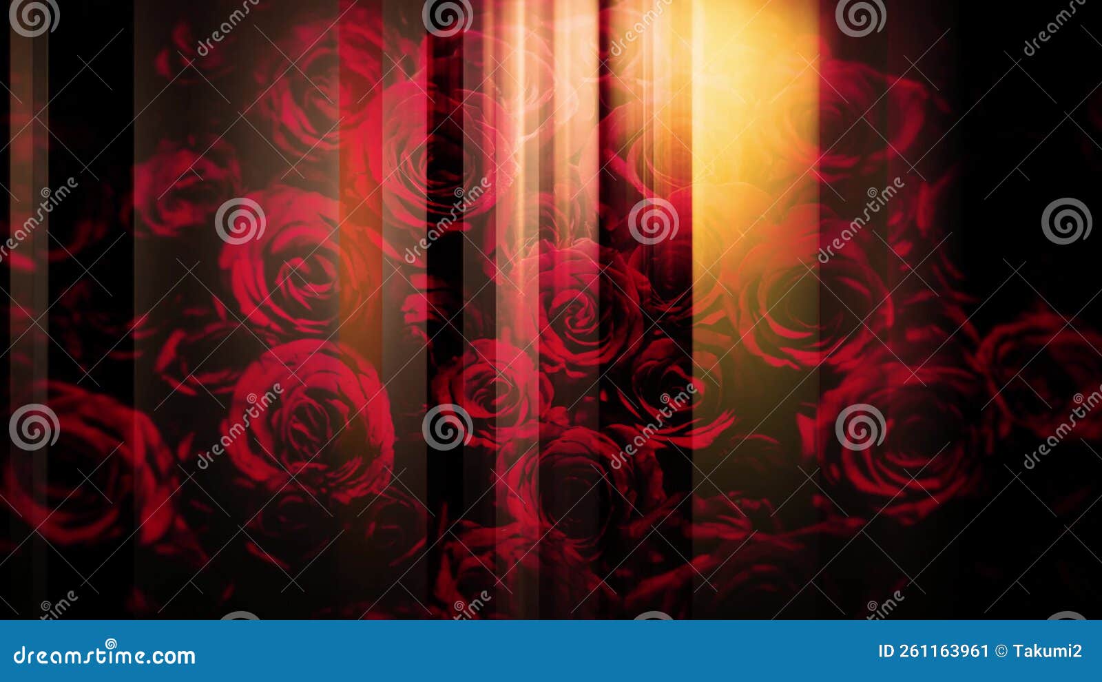 An Image of a Rose and a Vertical Line that Moves Left and Right Stock ...