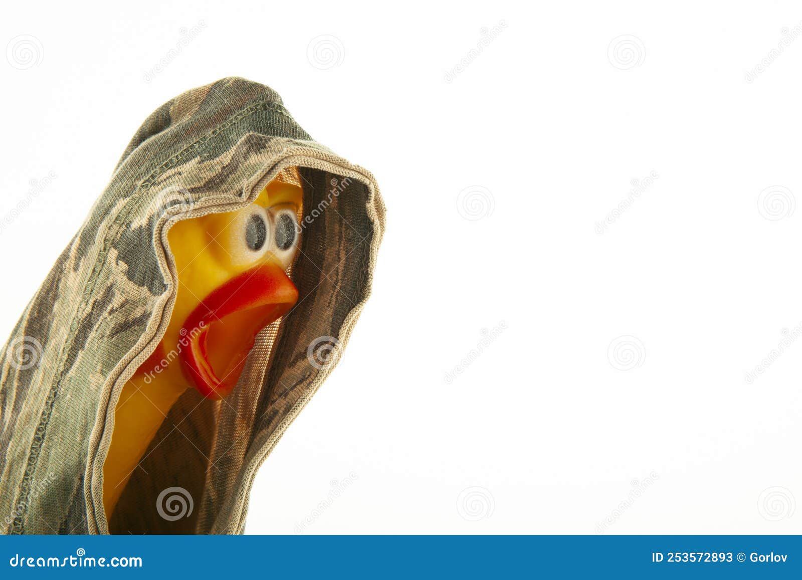 Image of Rubber Chicken Camouflage Textile White Background Stock Image ...