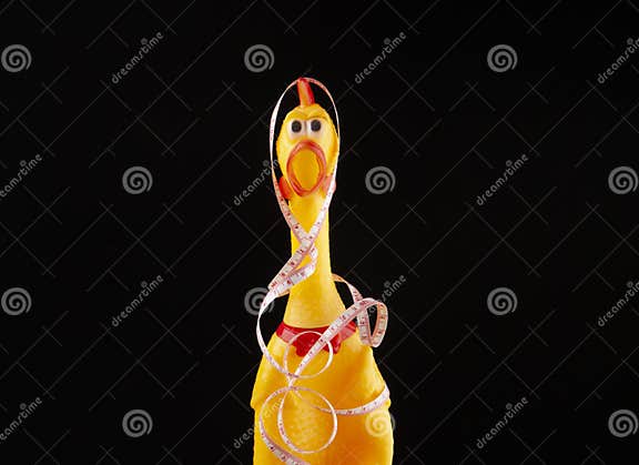 Image of Rubber Chicken Dark Background Stock Image - Image of industry ...